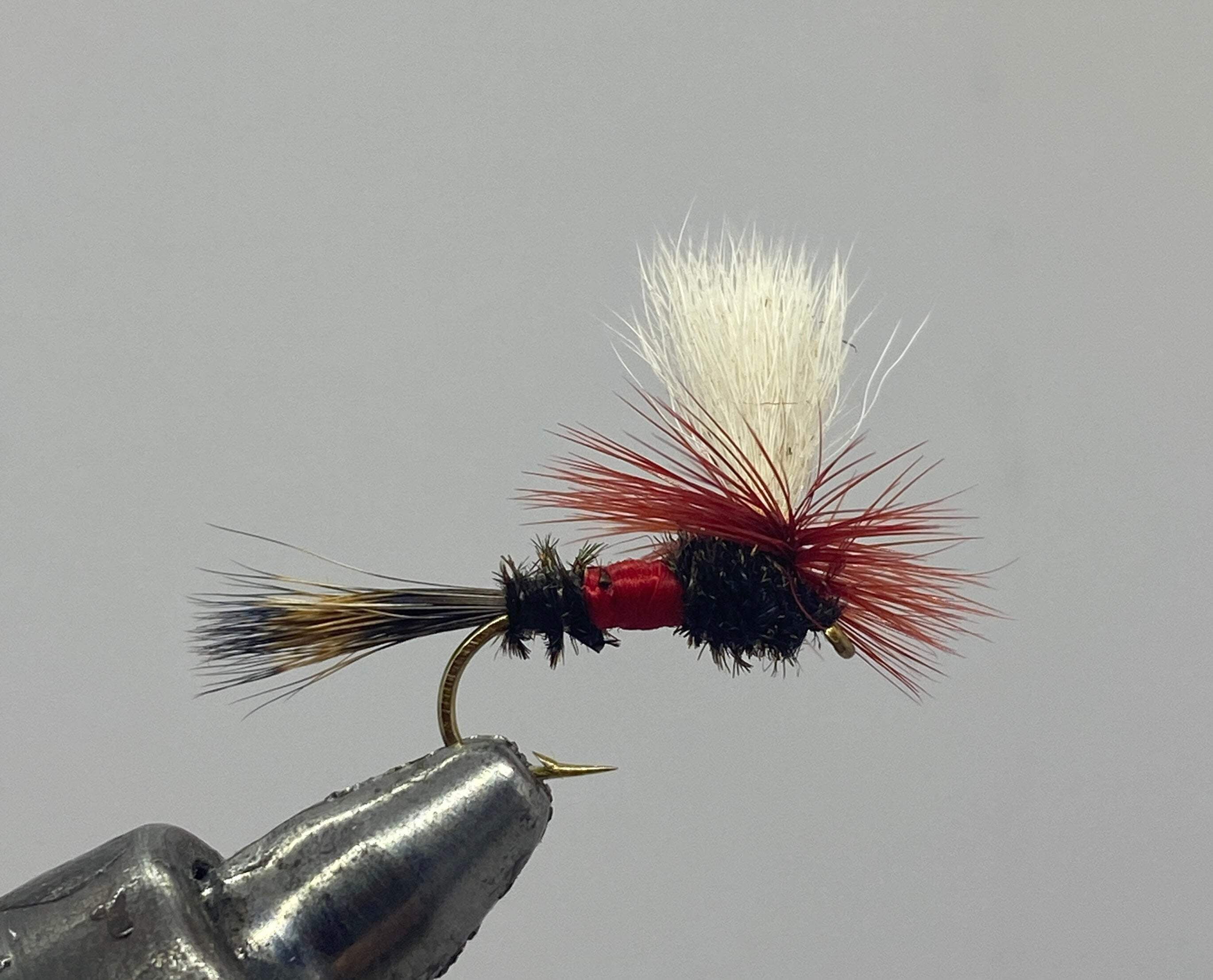 One Dozen (12) - Parachute Royal Wulff - Dry Fly - Walmart.com