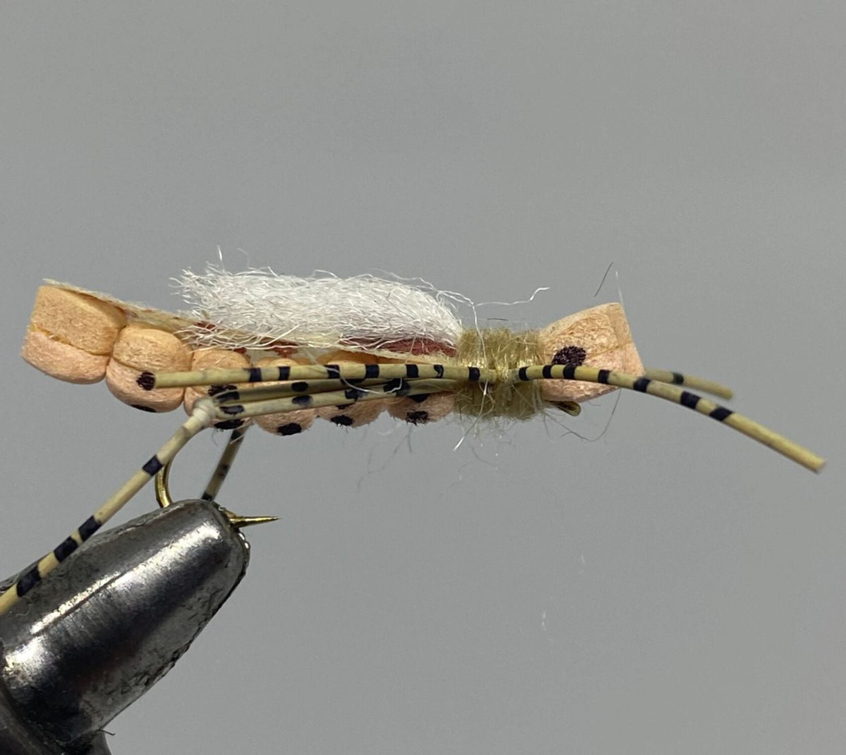One Dozen (12) - White Cloud Hopper - Light Peach - Terrestrial ...