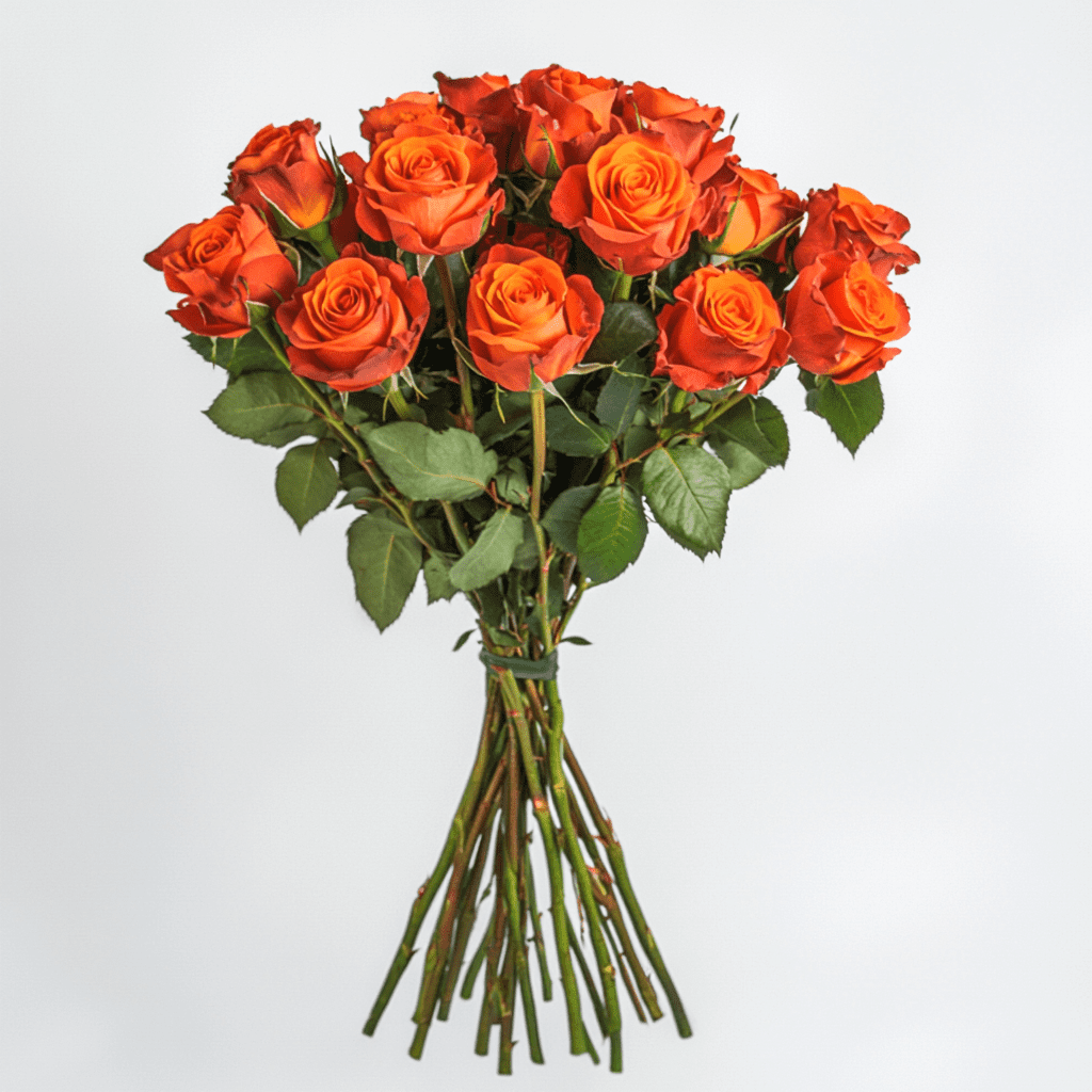 One Dozen Orange Roses- Fresh Flower Delivery - Walmart.com