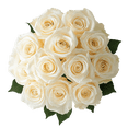One Dozen White Roses- Fresh Flower Delivery - Walmart.com