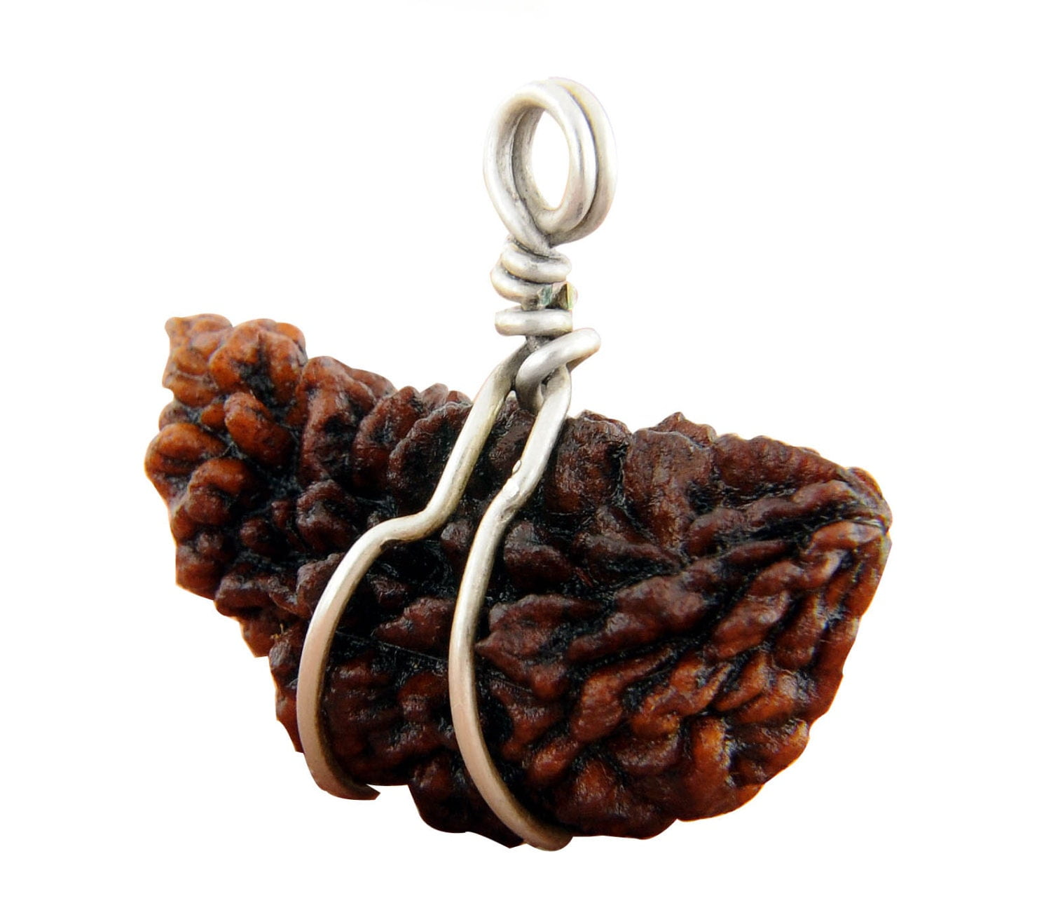 One Face Rudraksha Pendant,1 Mukhi Rudraksha Bead pendant, Dark Brown ...