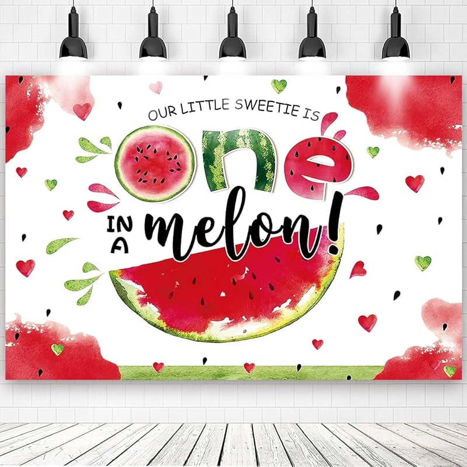 One in a Melon Watermelon Backdrop for Kids Girls 1st Birthday Party ...