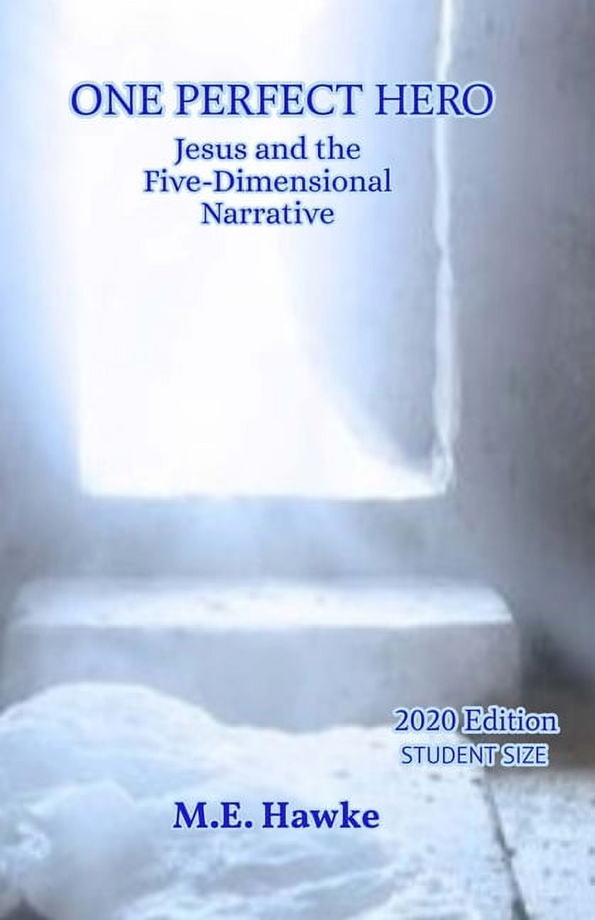 One Perfect Hero: Jesus and the Five-Dimensional Narrative - Walmart.com