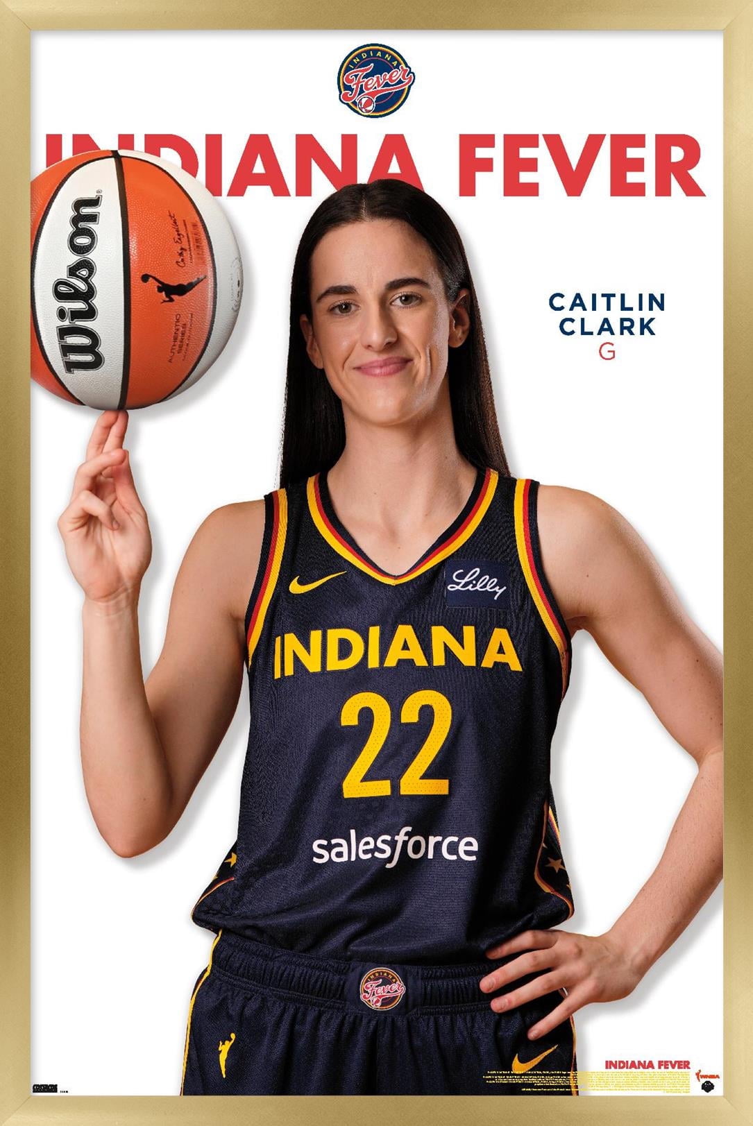 One Piece - Buggy Wanted Poster Wall Poster, 14.725" x 22.375" Framed ...