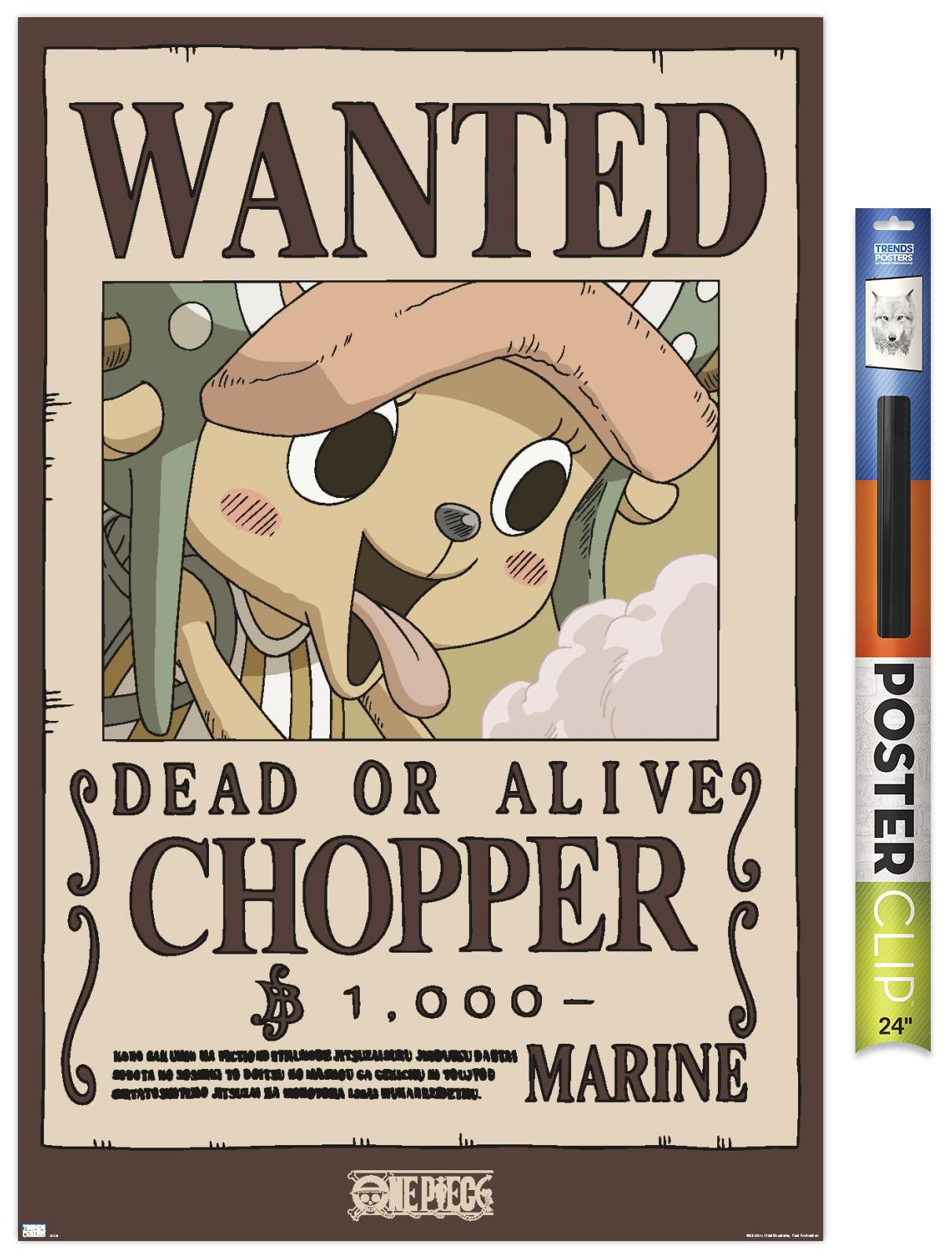 One Piece - Chopper Wanted Poster Wall Poster, 22.375" x 34" - Walmart.com