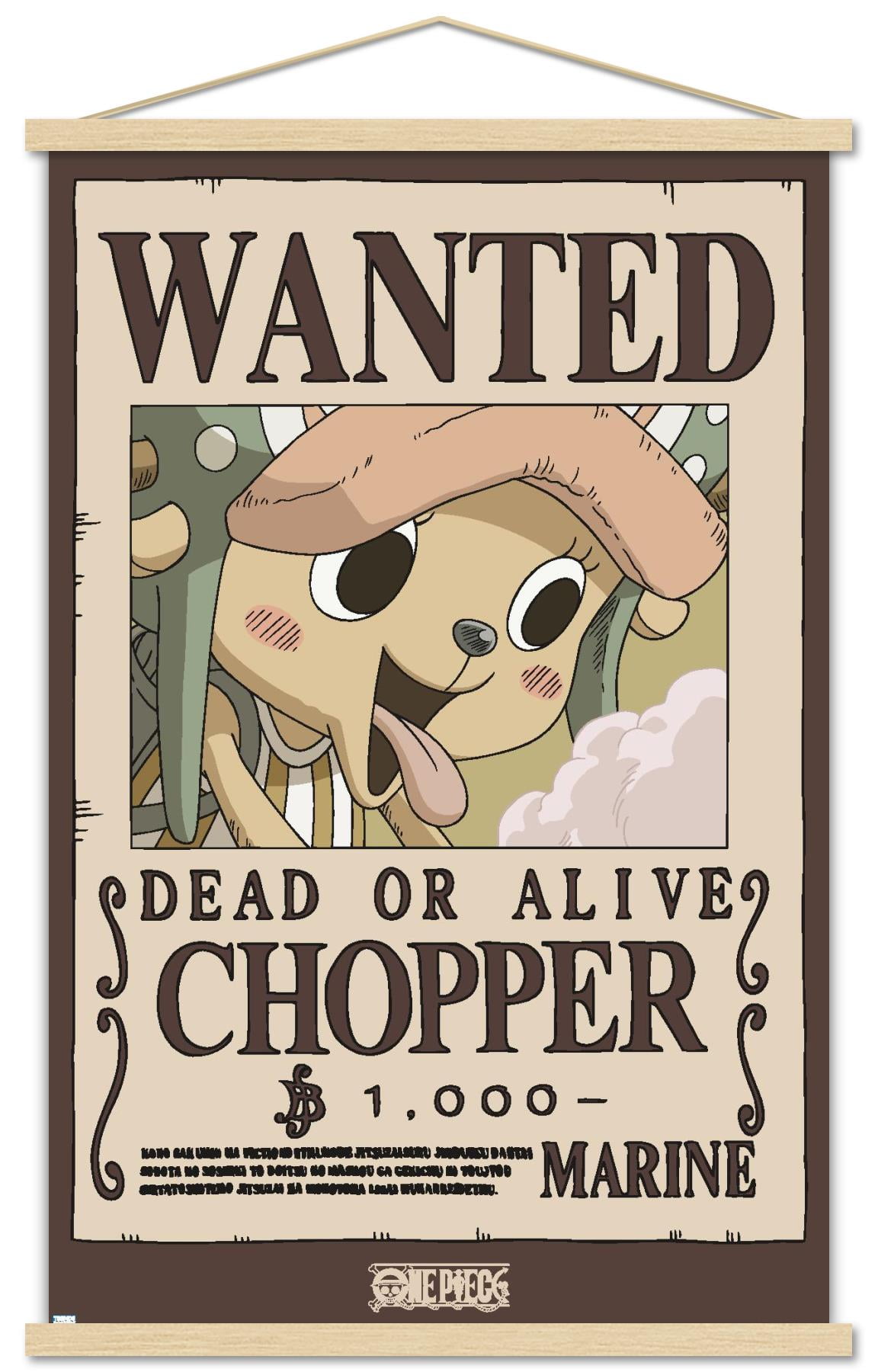 One Piece - Chopper Wanted Poster Wall Poster with Magnetic Frame, 22. ...