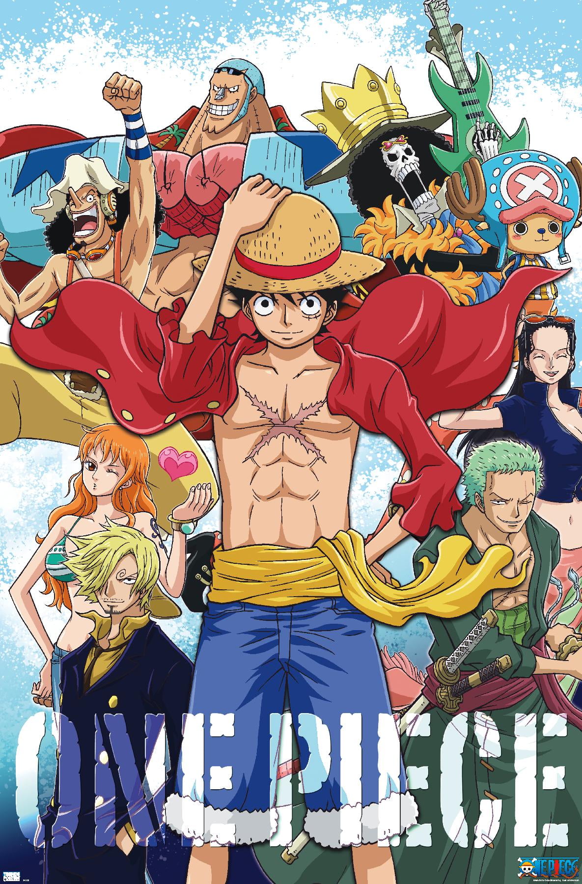 One Piece - Crew Wall Poster, 13" x 19" - Walmart.com