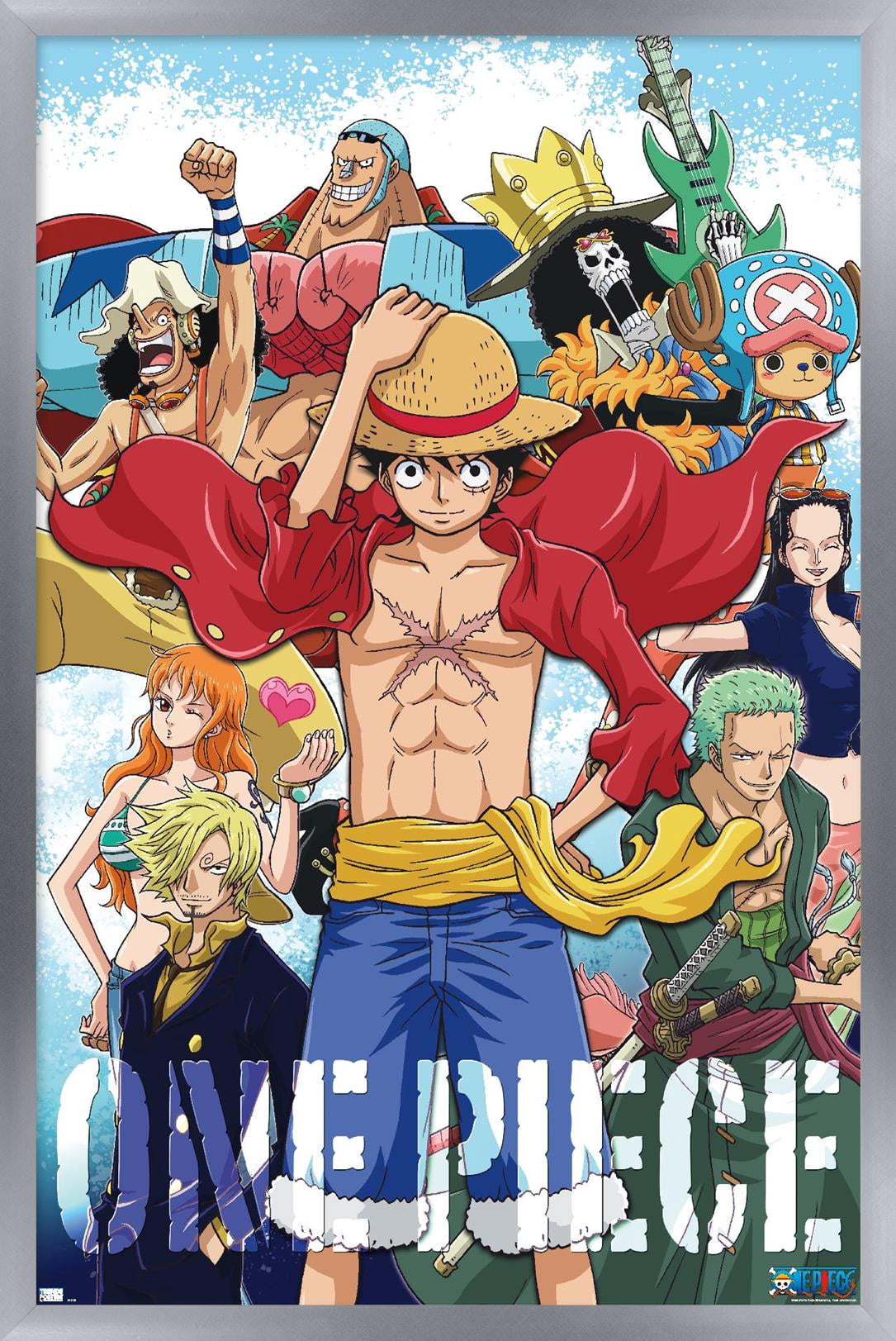 One Piece - Crew Wall Poster, 14.725" x 22.375" Framed - Walmart.com