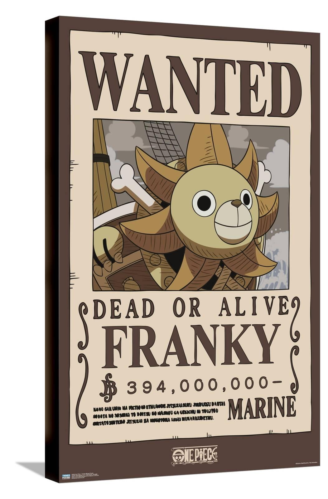 One Piece - Franky Wanted Poster Canvas Wall Poster, 14.725" x 22.375 ...