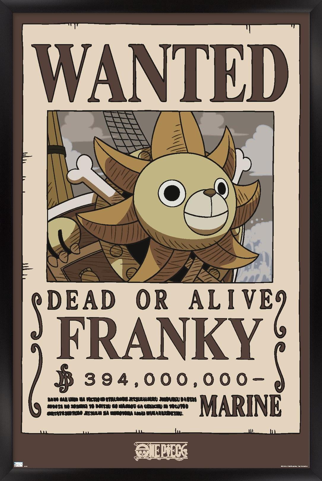 One Piece - Franky Wanted Poster Wall Poster, 14.725" x 22.375" Framed ...