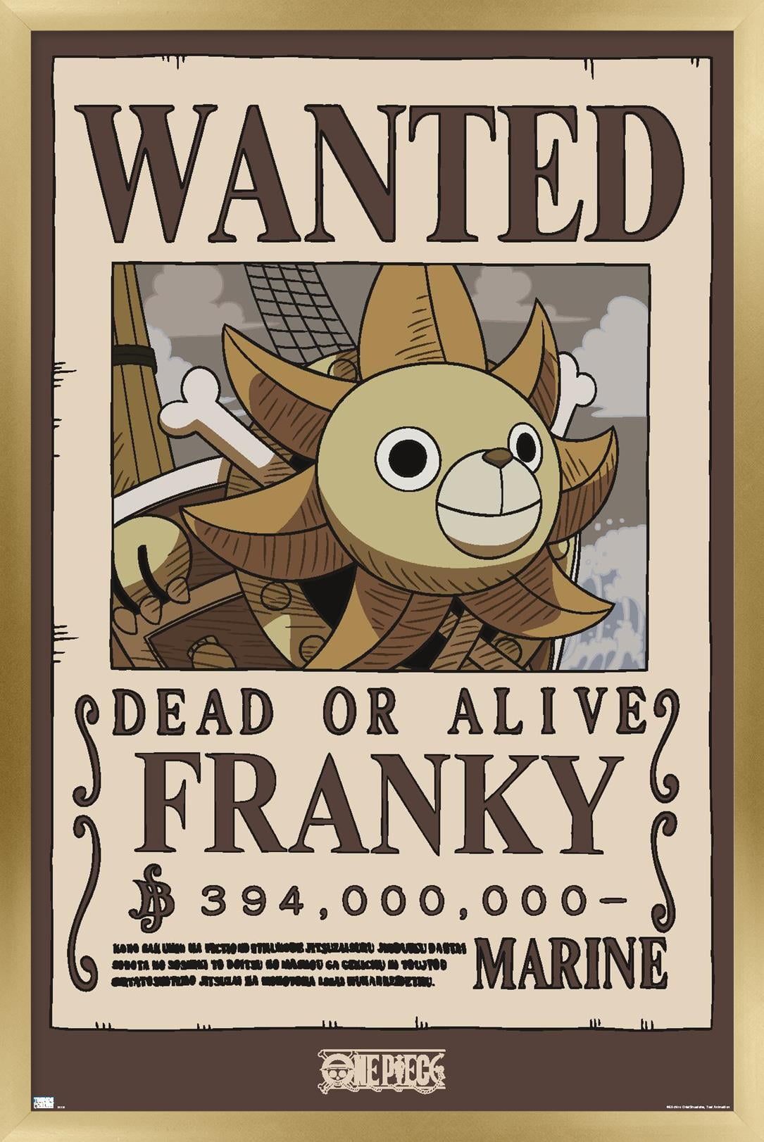 One Piece - Franky Wanted Poster Wall Poster, 14.725" x 22.375" Framed ...