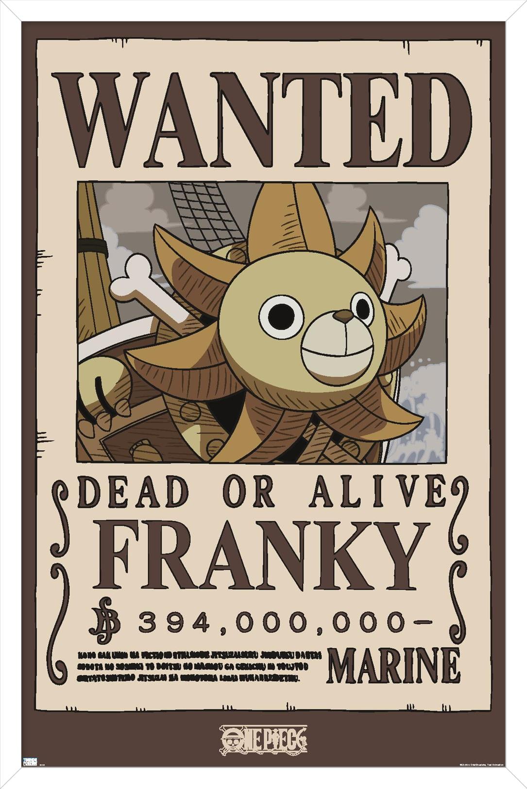 One Piece - Franky Wanted Poster Wall Poster, 22.375" x 34" Framed ...