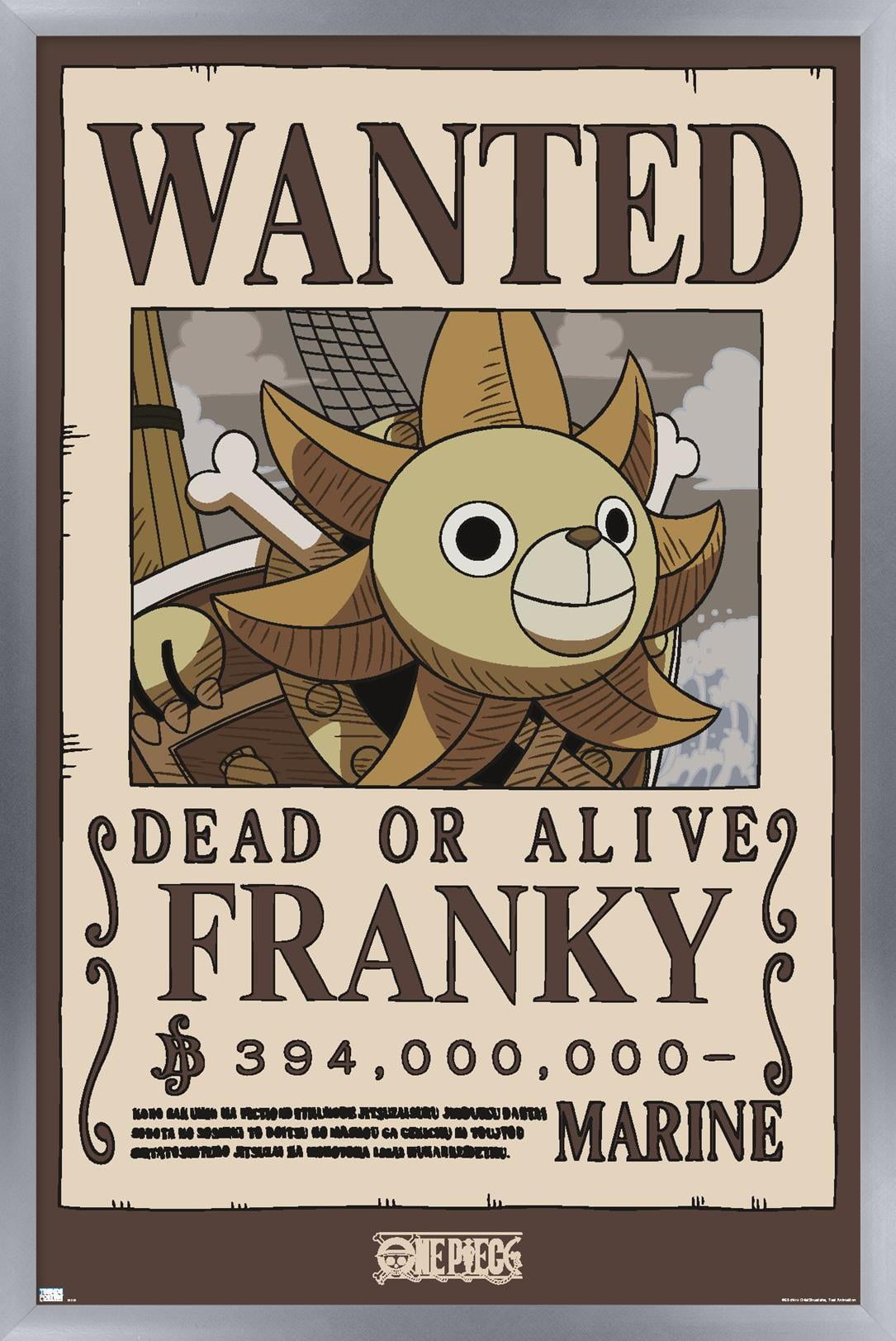 One Piece - Franky Wanted Poster Wall Poster, 22.375" x 34" Framed ...
