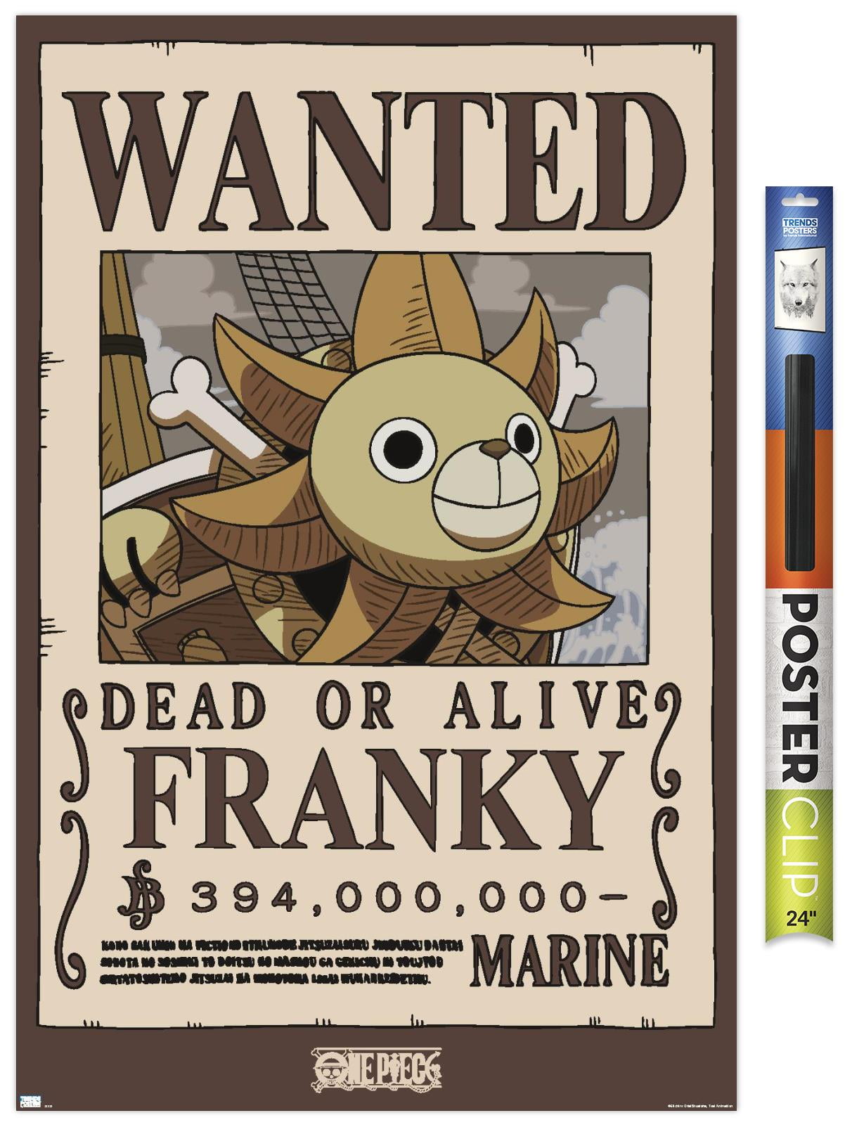 One Piece - Franky Wanted Poster Wall Poster, 22.375" x 34" - Walmart.com