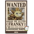 One Piece - Franky Wanted Poster Wall Poster, 22.375" x 34" - Walmart.com