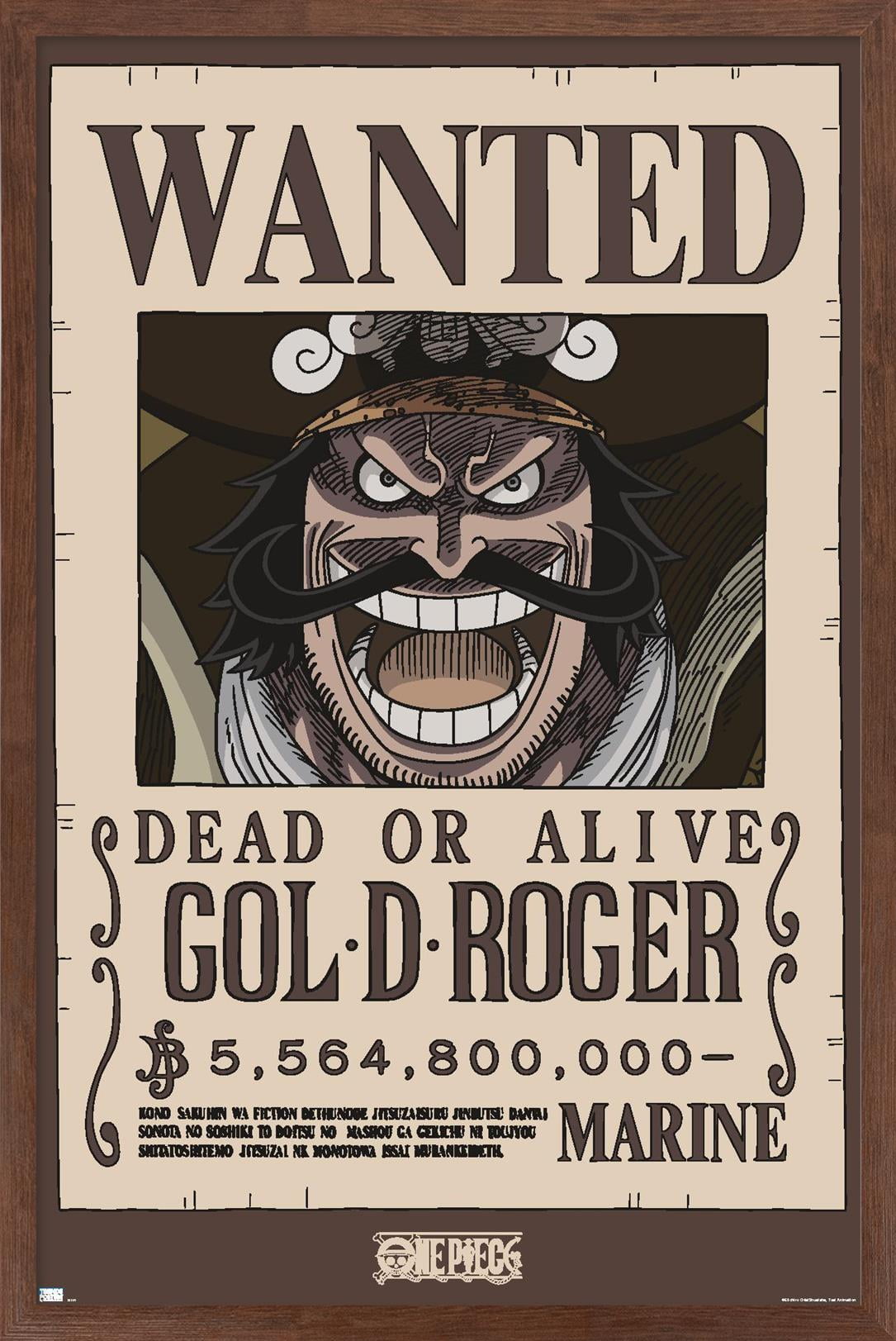 One Piece - Gol D Roger Wanted Poster Wall Poster, 22.375" x 34" Framed ...