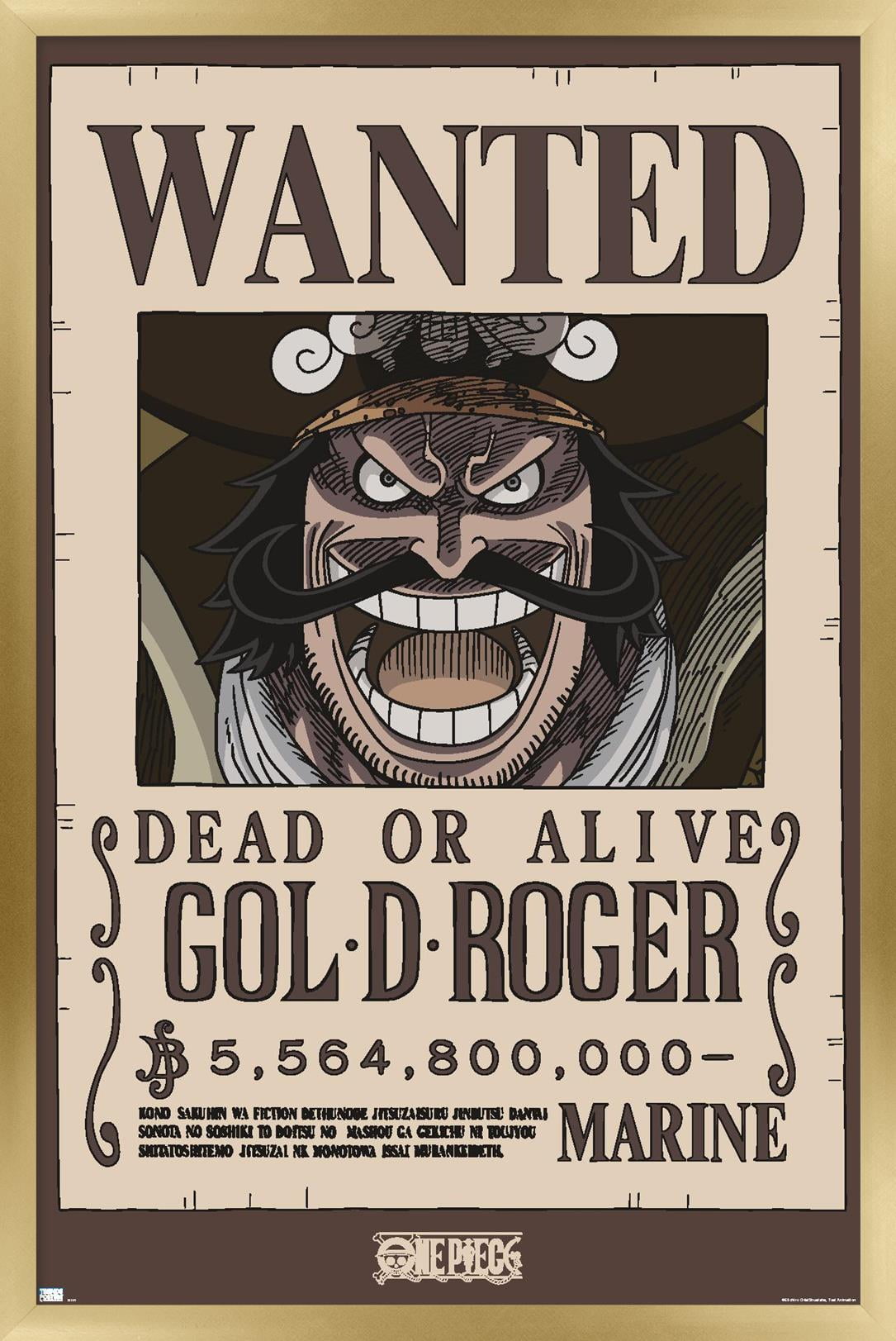 One Piece - Gol D Roger Wanted Poster Wall Poster, 22.375" x 34" Framed ...