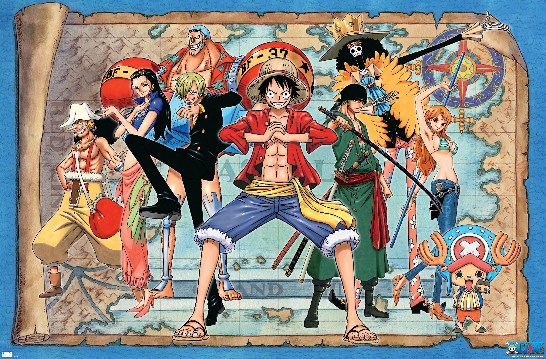 One Piece - Group Map Wall Poster, 14.725" x 22.375" - Walmart.com