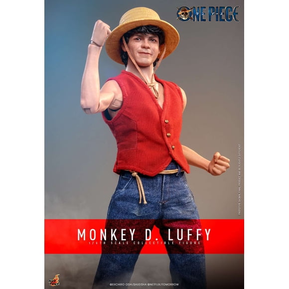 One Piece Doll
