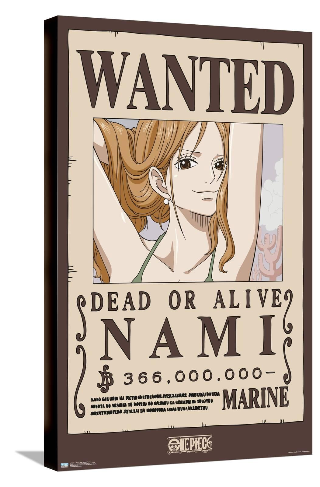 One Piece - Nami Wanted Poster Canvas Wall Poster, 14.725" x 22.375 ...