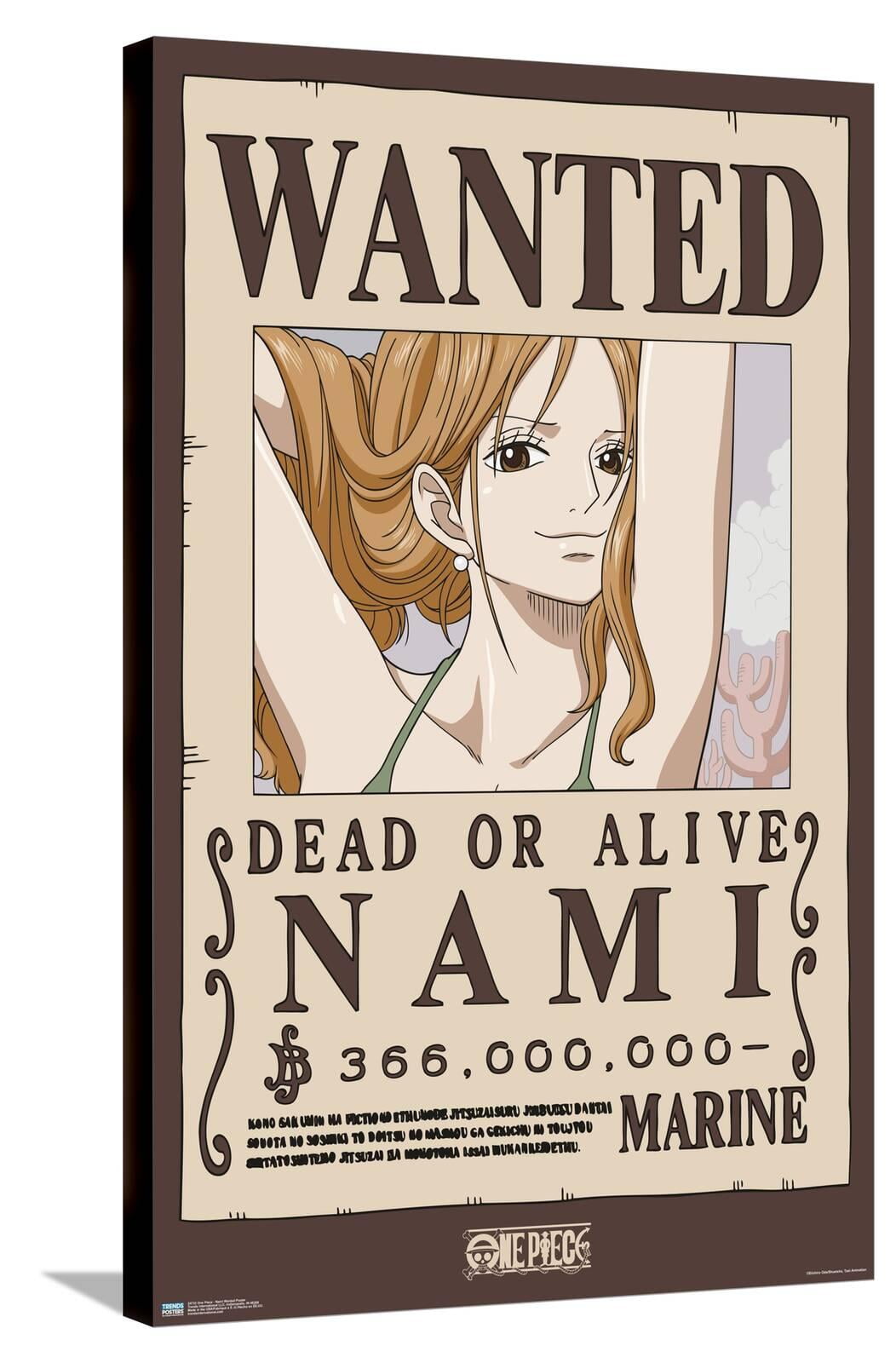 One Piece - Nami Wanted Poster Canvas Wall Poster, 22.375" x 34 ...