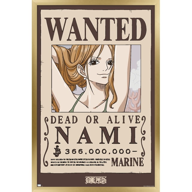 One Piece - Nami Wanted Poster Wall Poster, 22.375" x 34" Framed ...