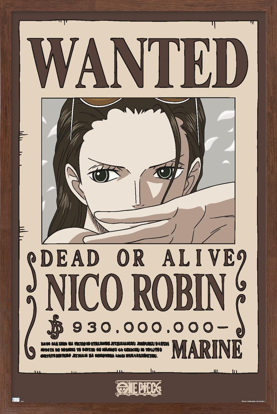 One Piece - Nico Robin Wanted Poster Wall Poster, 14.725" x 22.375" Framed - Walmart.com
