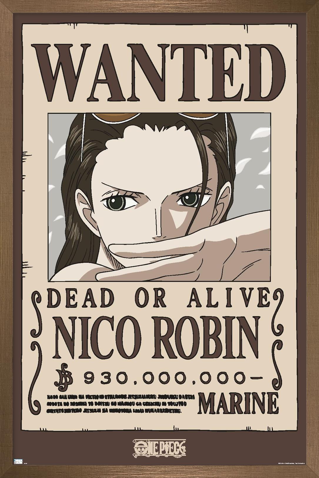 One Piece - Nico Robin Wanted Poster Wall Poster, 22.375" x 34" Framed ...