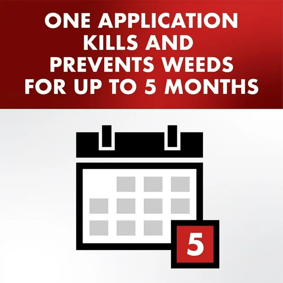 One-Shot Weed & Grass Killer with AccuShot Sprayer, 1 Gallon, One ...