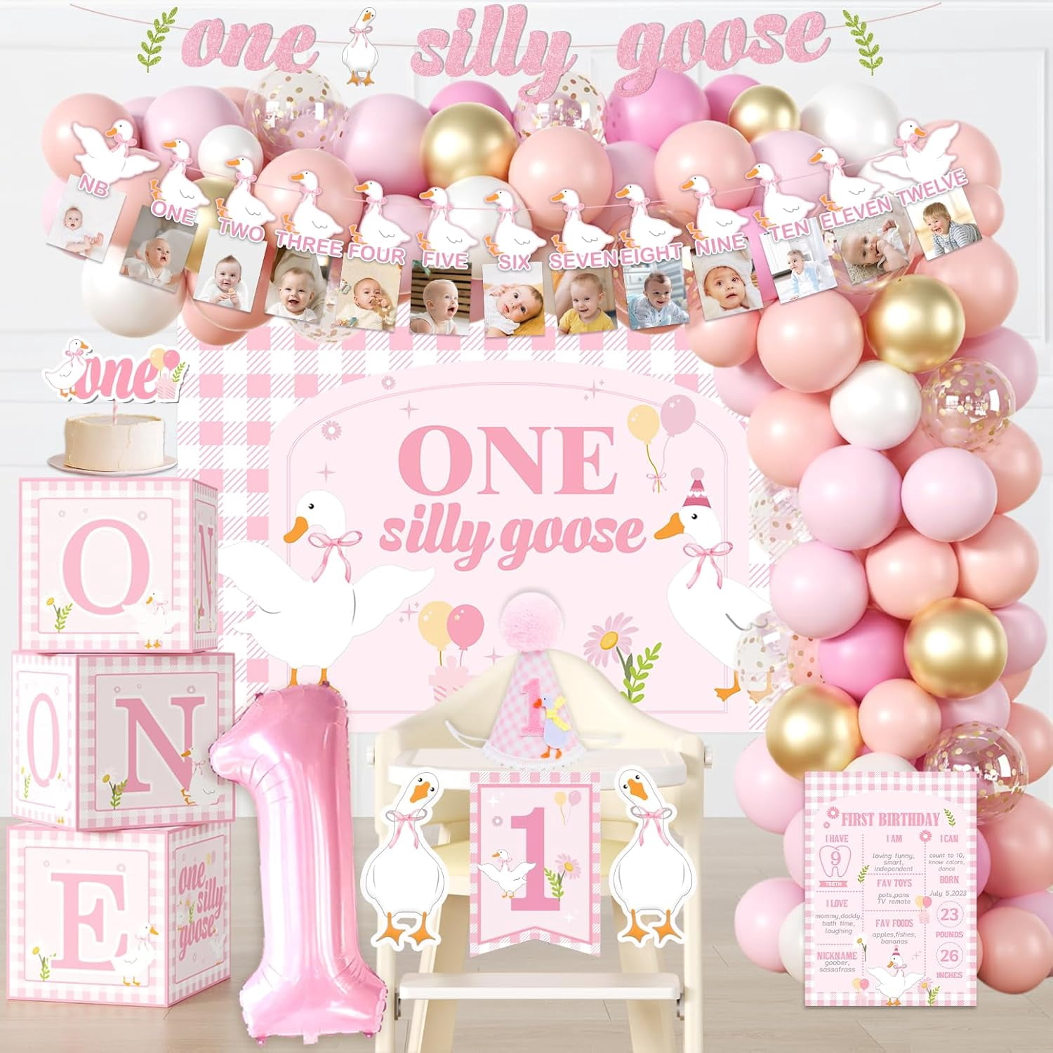 One Silly Goose Birthday Decor Girl, Goose Balloon Arch NB to 12 Months ...