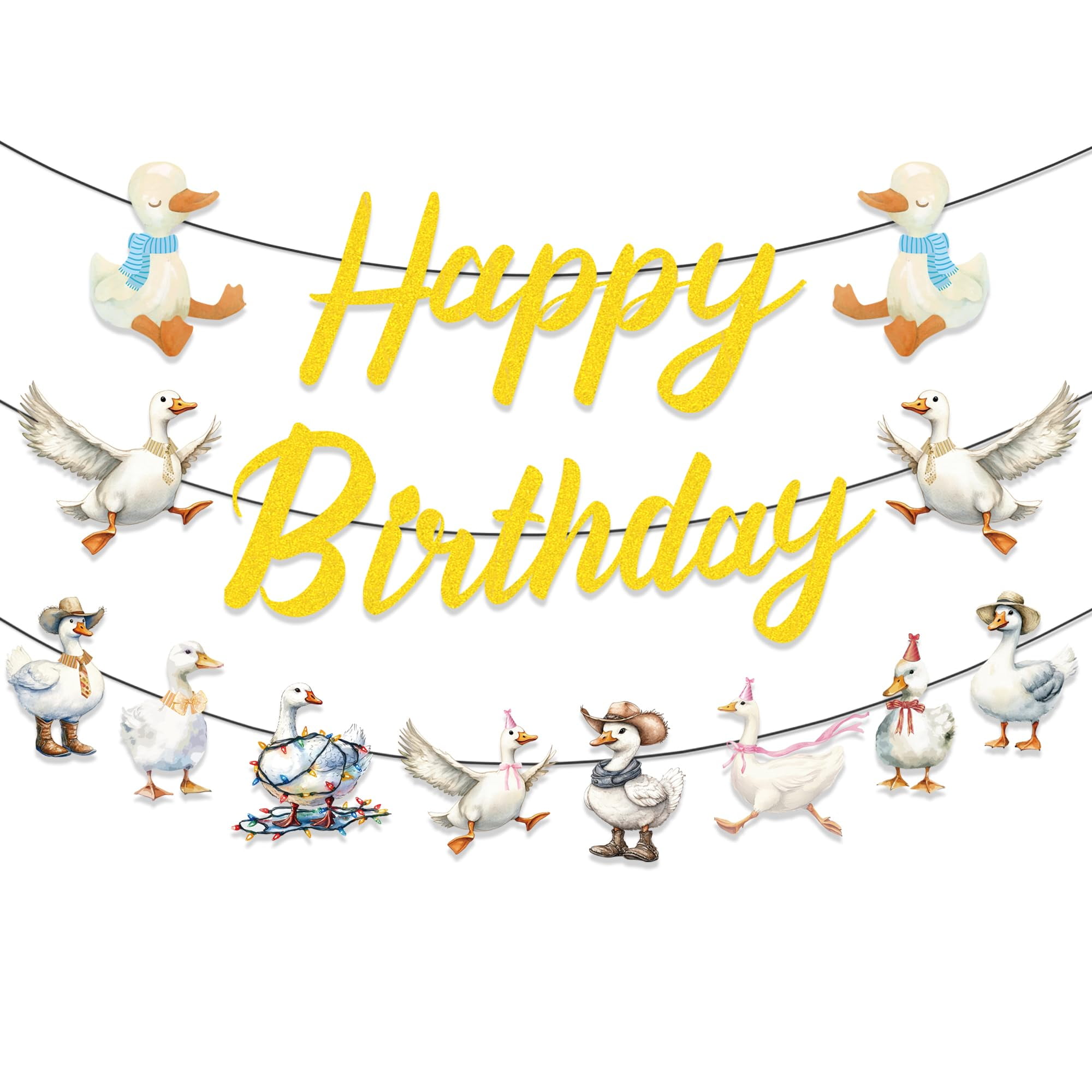 One Silly Goose Birthday Decor Girls boys Include Silly Goose Happy ...