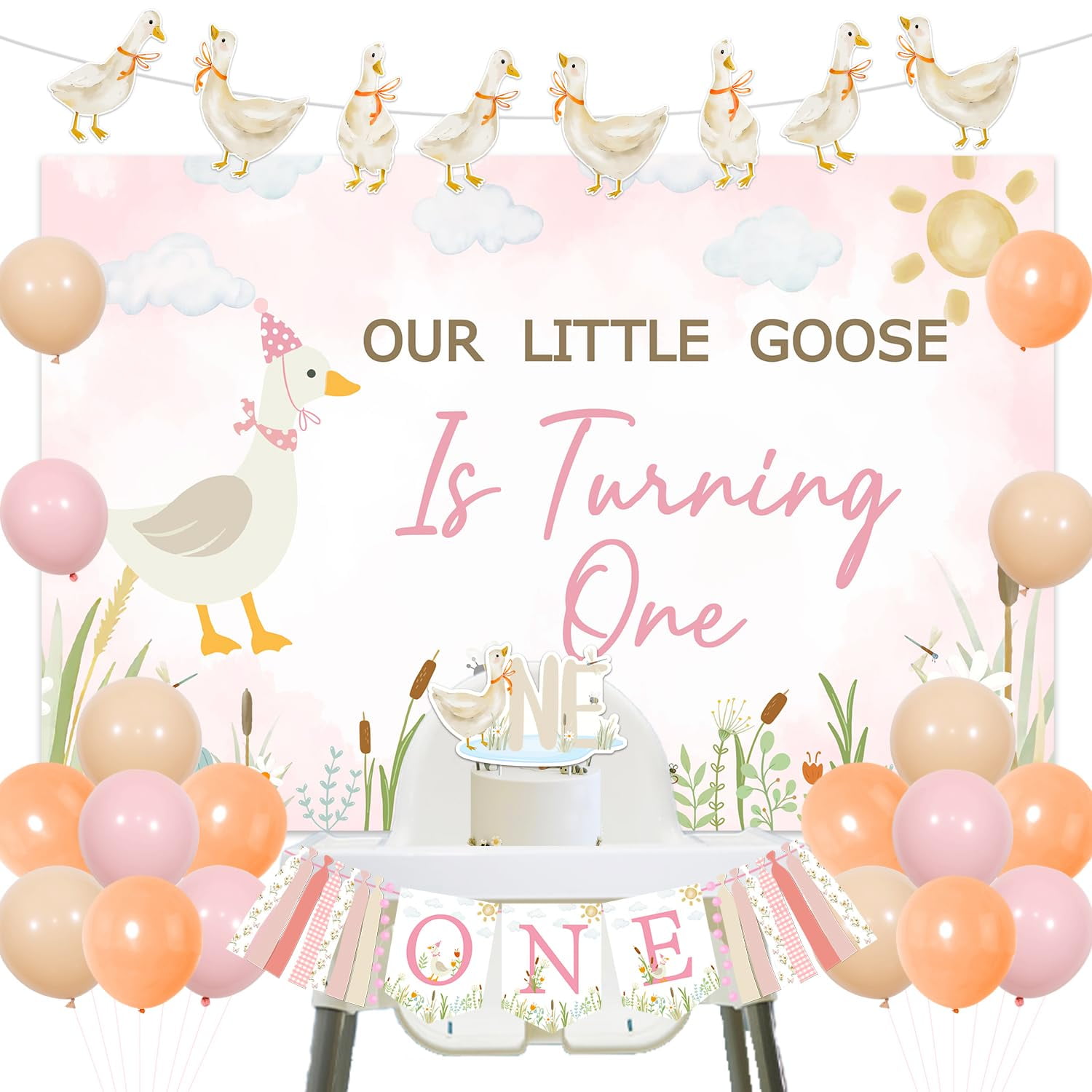 One Silly Goose FEV6 1st Birthday Decorations in Pink Watercolor Farm ...