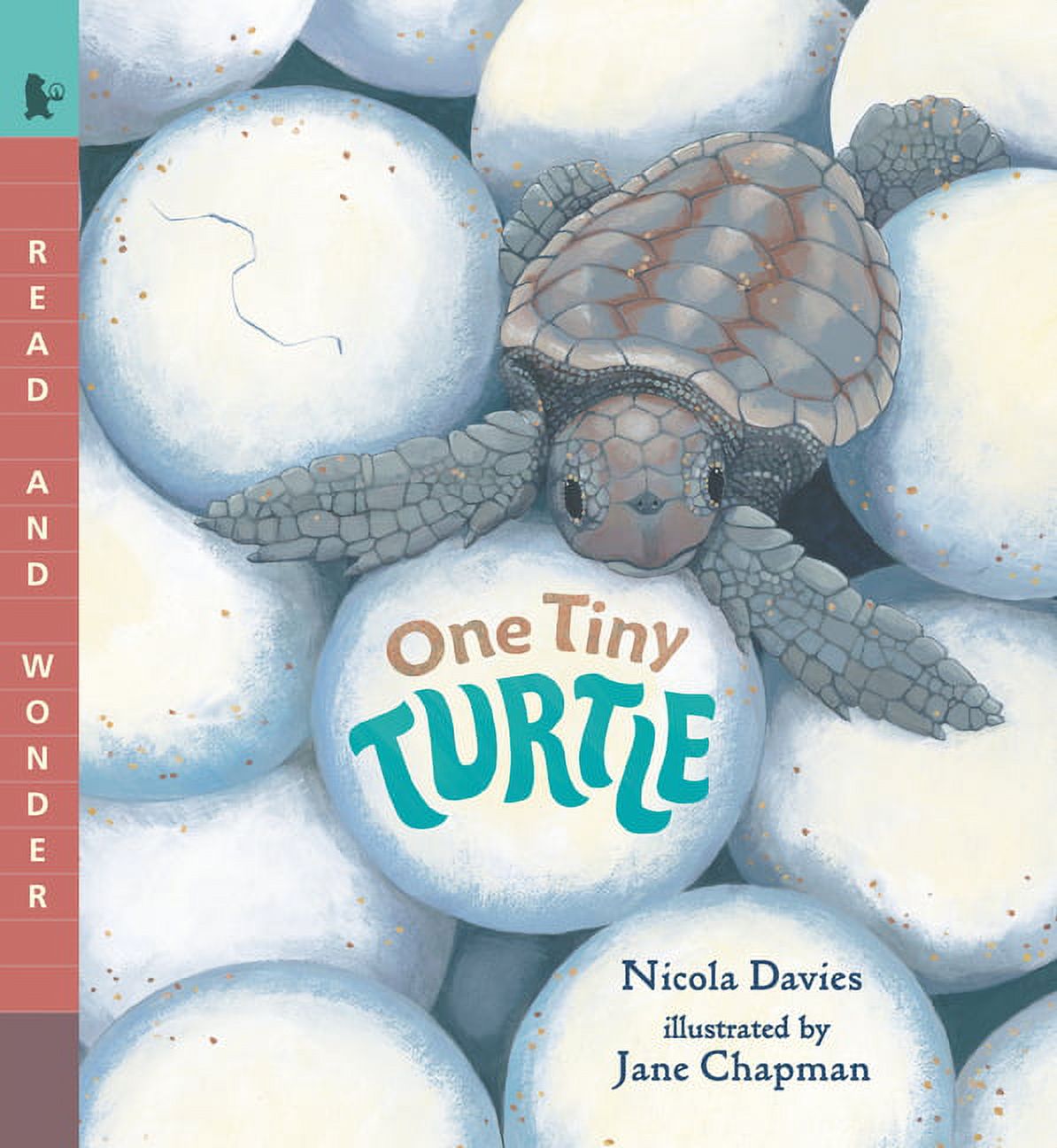 Read and Wonder One Tiny Turtle: Read and Wonder, (Paperback) - Walmart.com