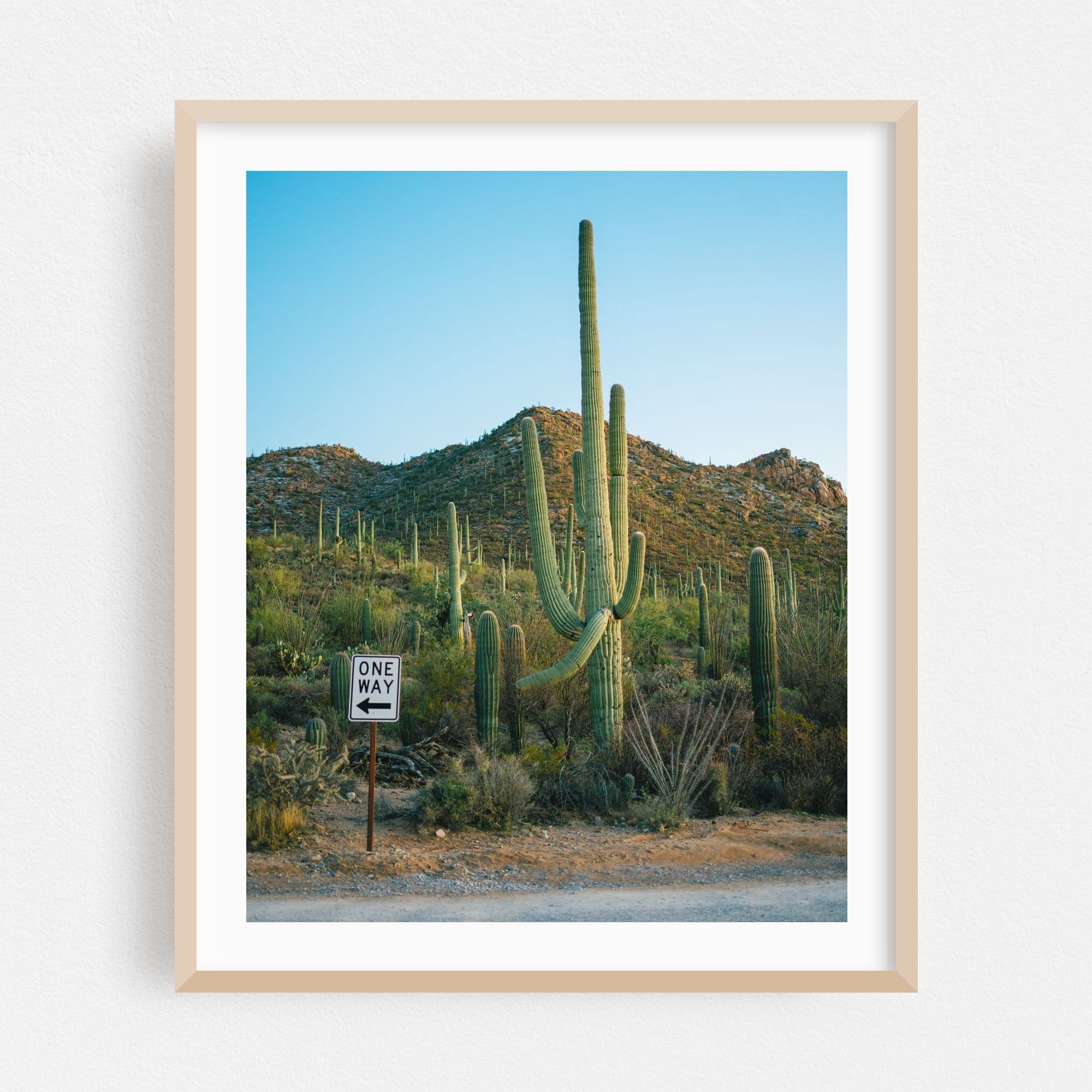 One Way, Saguaro - Arizona Photography Desert Cactus Nature Landscape ...