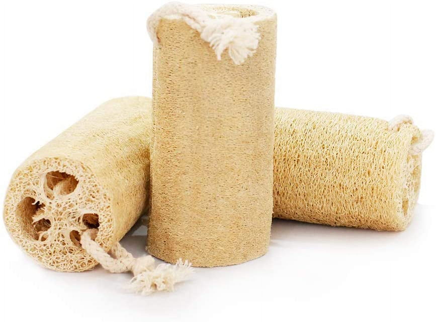 One Whole Luxurious 100% Natural SPA Beauty Egyptian Organic Loofah ...