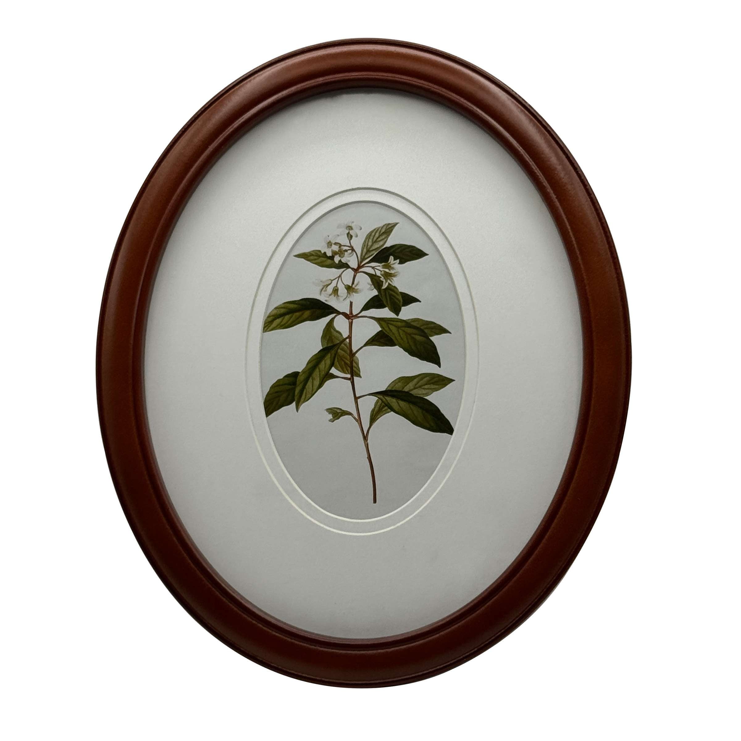 OneDesign Home 8X10 Oval Double Matte Wood Picture Frame - Walmart.com