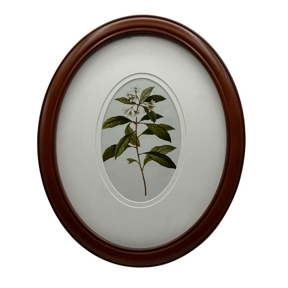 OneDesign Home 8X10 Oval Double Matte Wood Picture Frame - Walmart.com