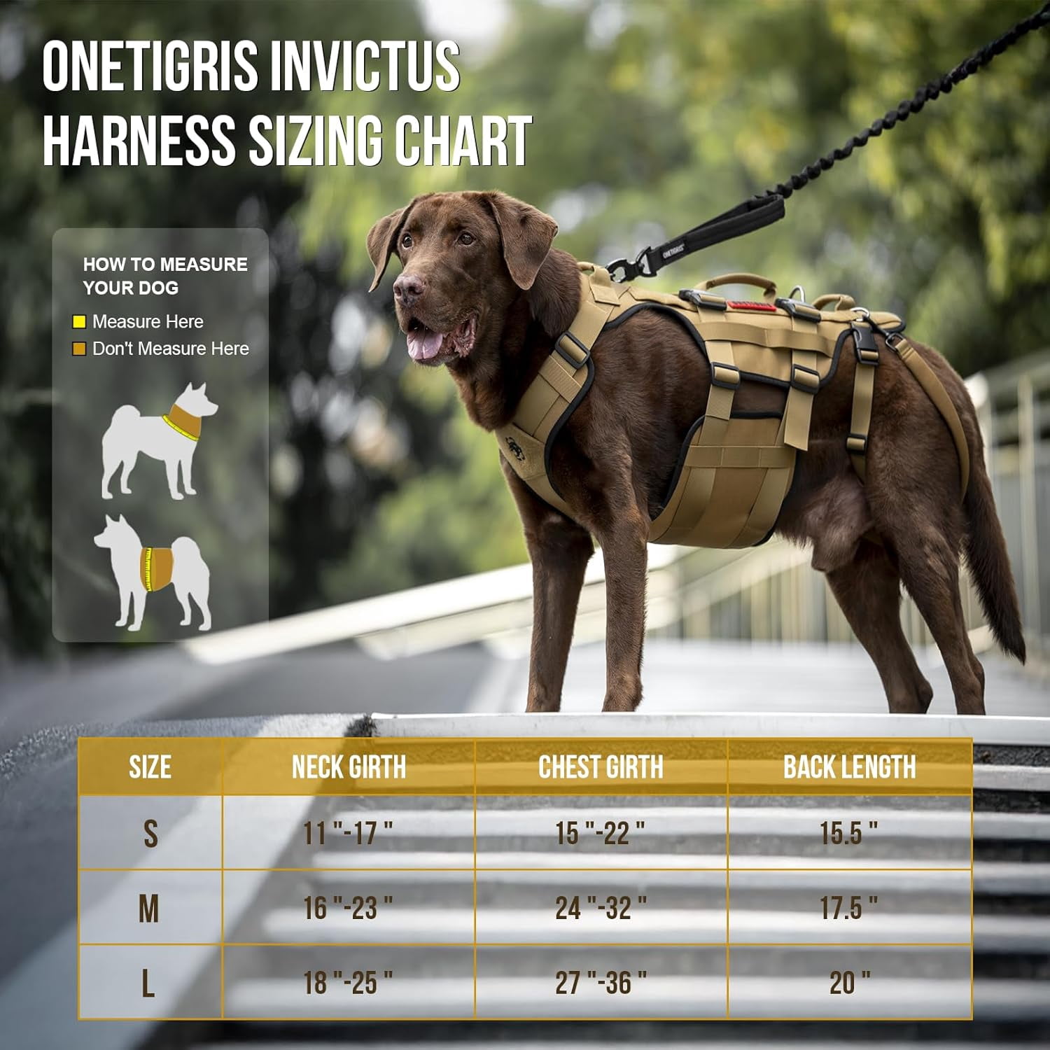 OneTigris Dog Lift Harness for Large Dogs, Dog Hip Support Brace, Full ...