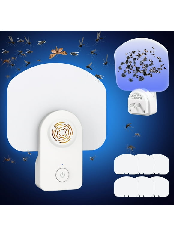 Fruit Fly and Gnat Traps in Fly - Walmart.com