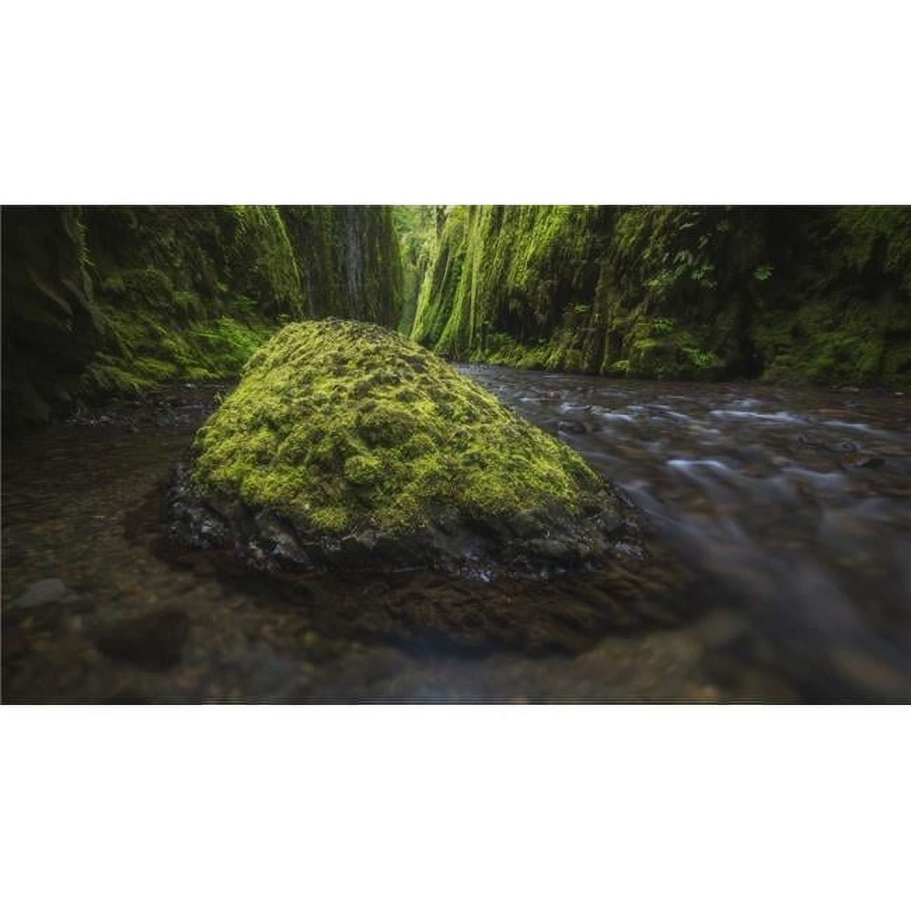 Oneonta Canyon Columbia River Gorge - Oregon United States of America ...