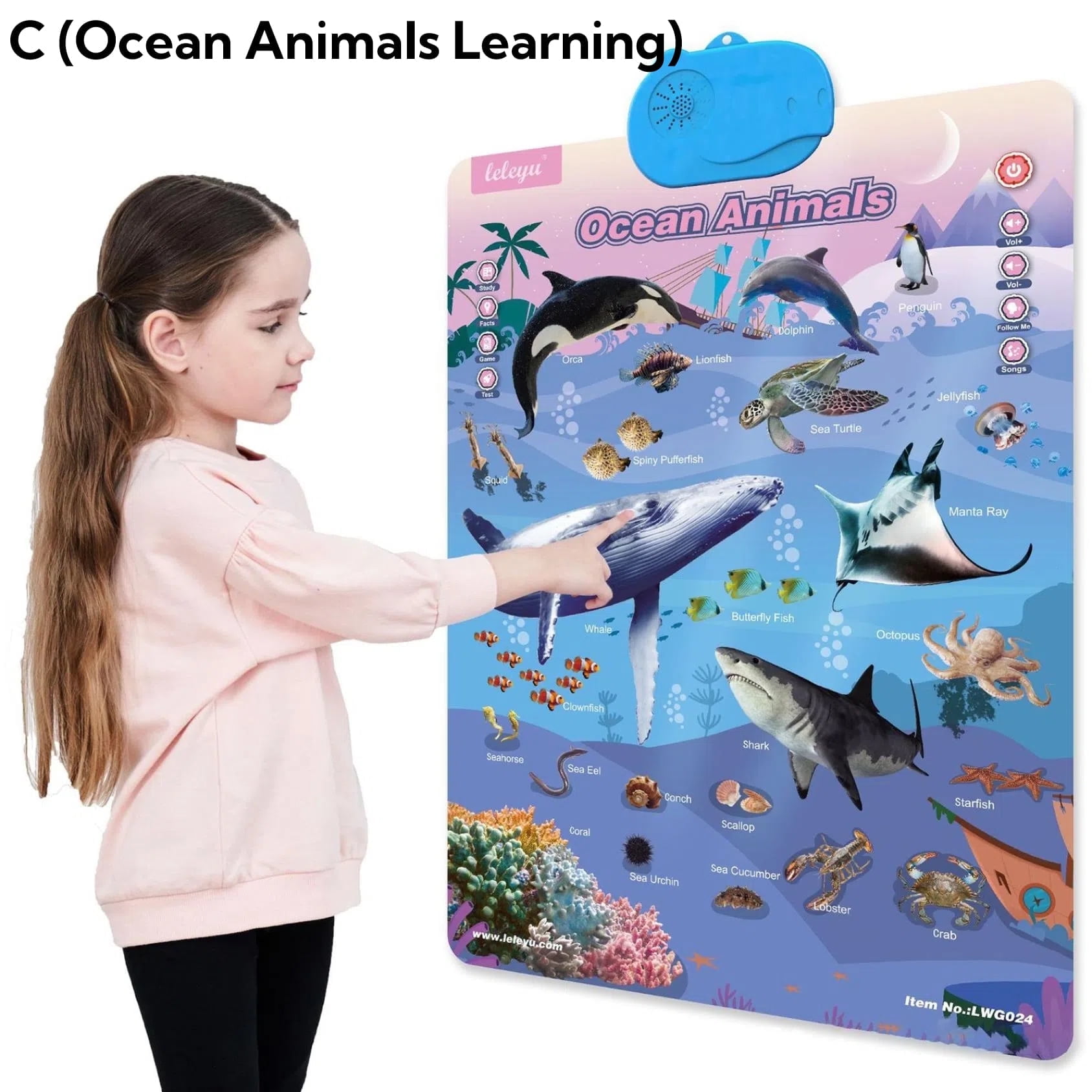 Oneshrt Interactive Wall Chart for Kids, Ocean Animals Learning ...
