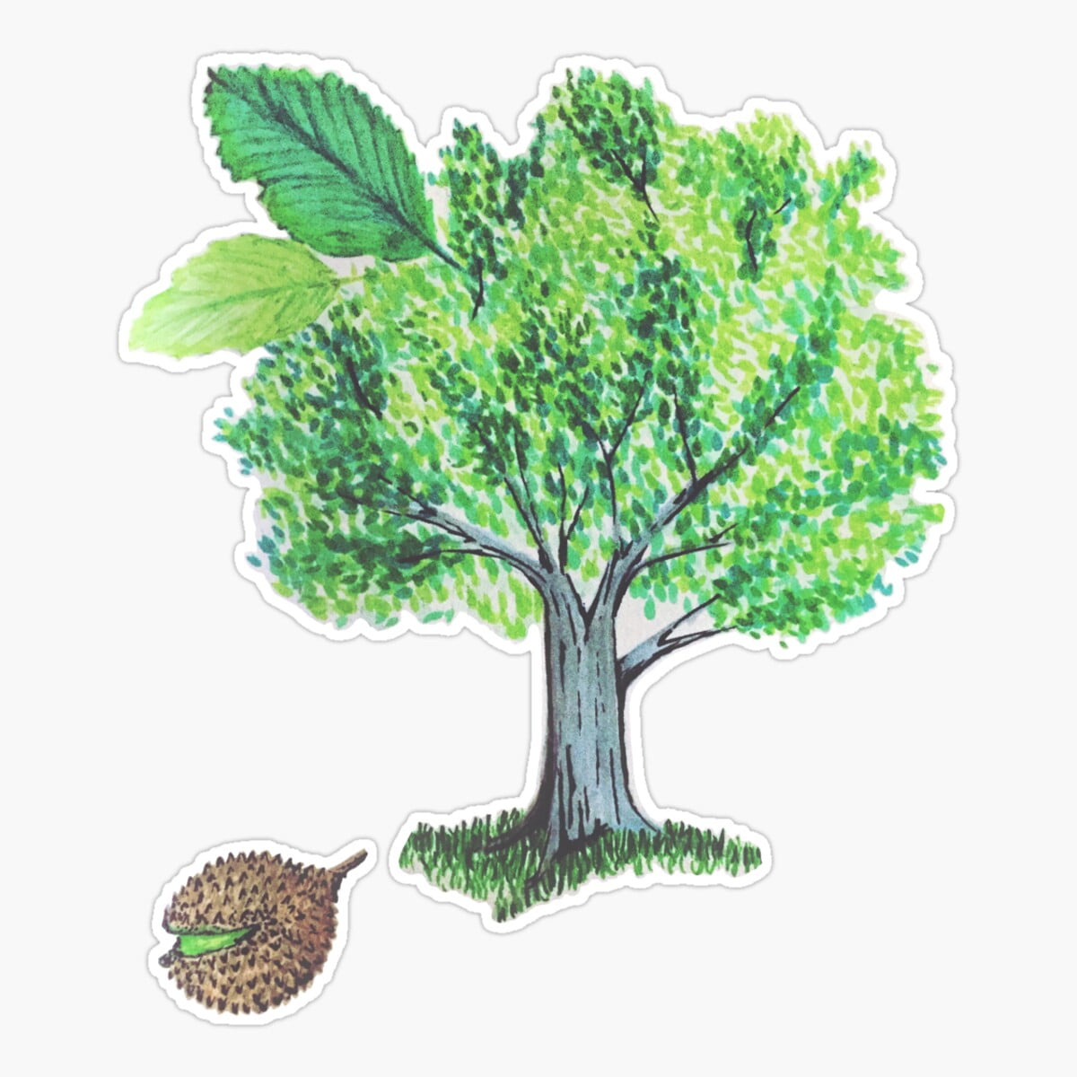 Onim A Lovely Beech Tree Sticker, Phone Decal Water Bottle Stickers Car ...