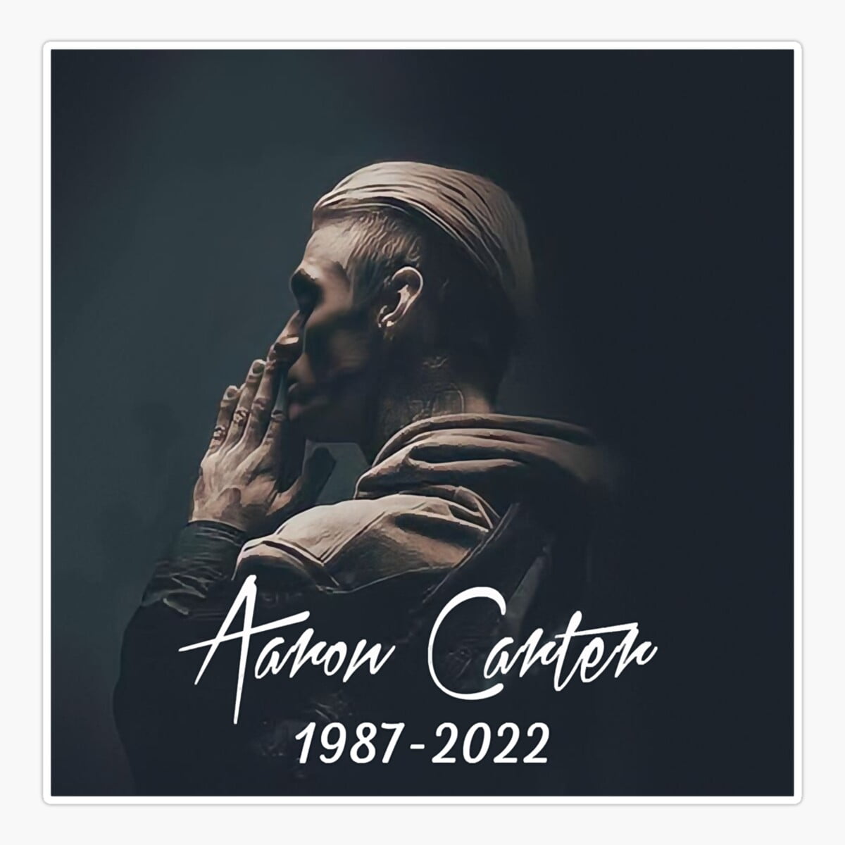 Onim Aaron Carter Sticker, Phone Decal Water Bottle Stickers Car Decals ...