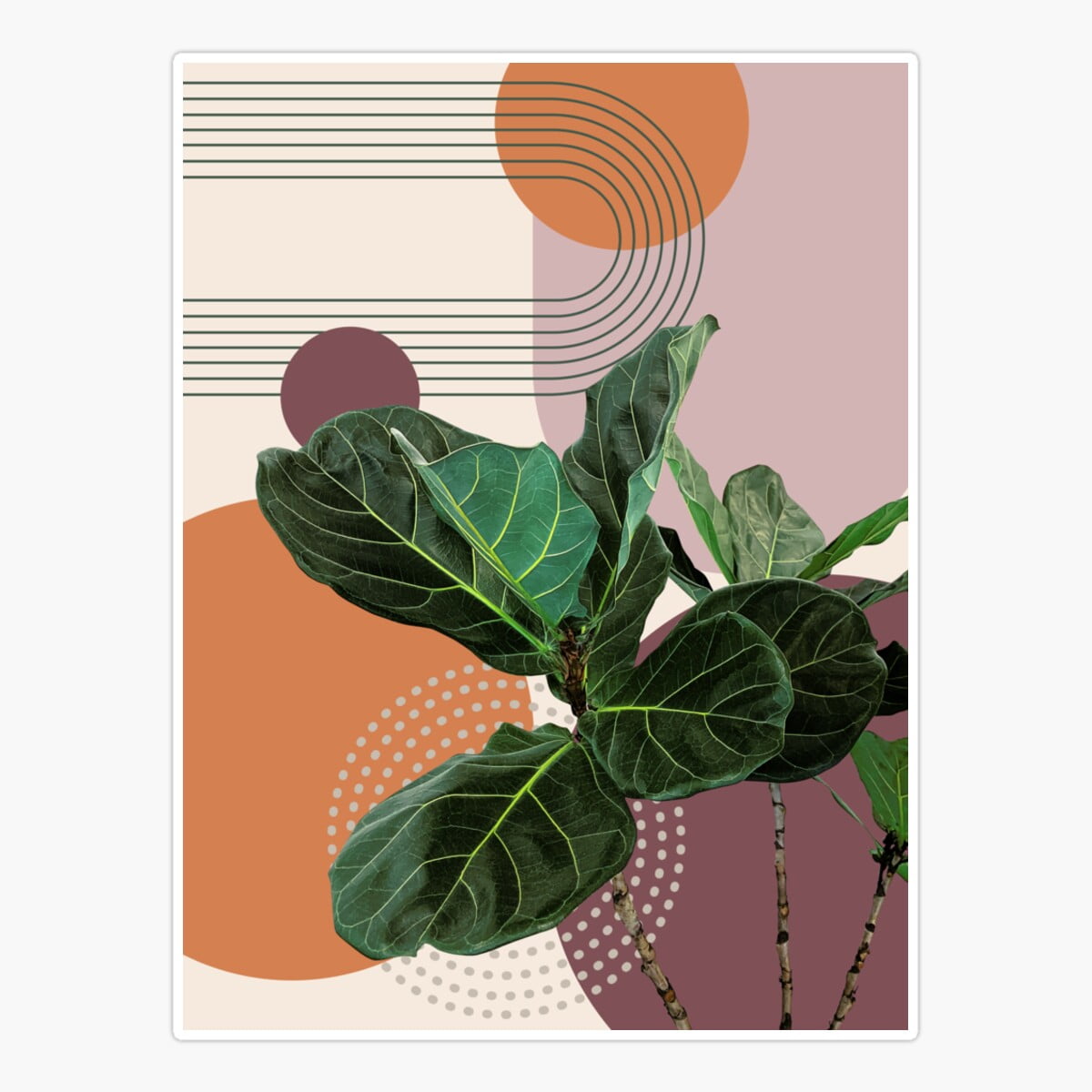 Onim Abstract Modern Botanical Art , Ficus Lyrata Sticker, Phone Decal ...
