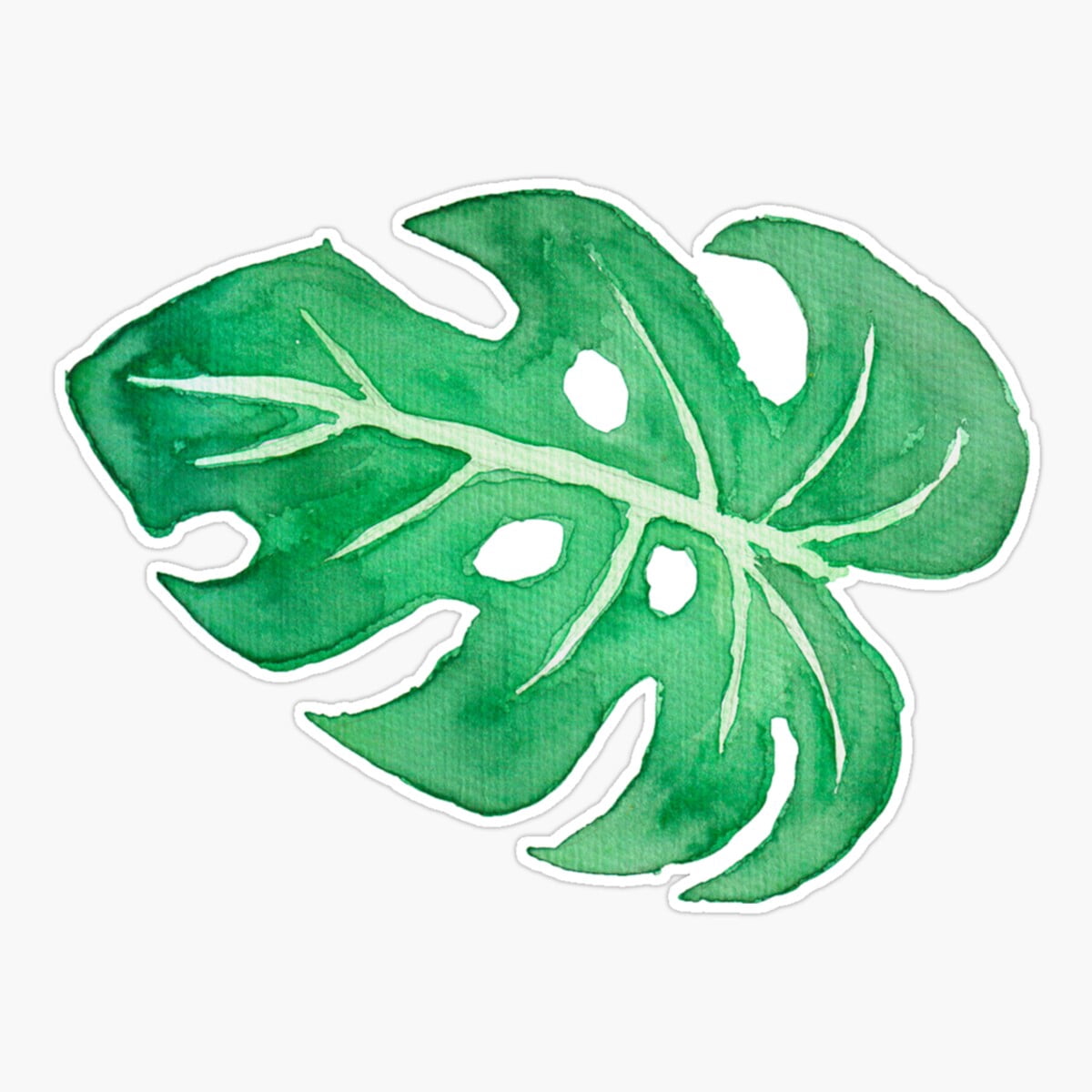 Onim Aesthetic Green Leaf Sticker! Sticker, Phone Decal Water Bottle ...