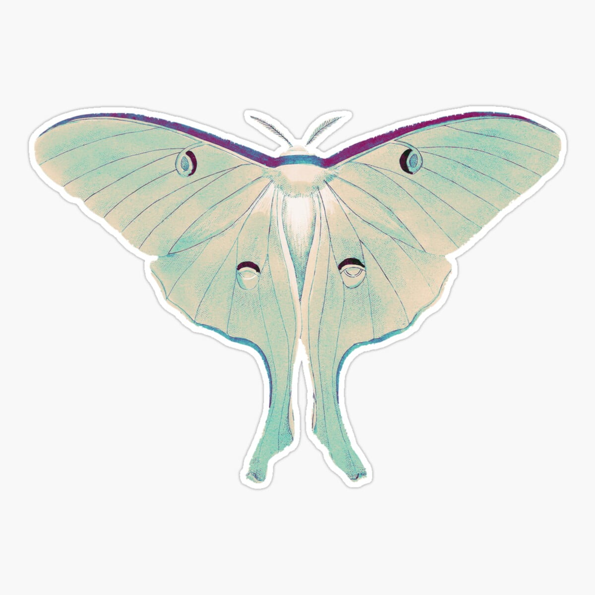 Onim Aesthetic Pastel Luna Moth Sticker, Phone Decal Water Bottle ...