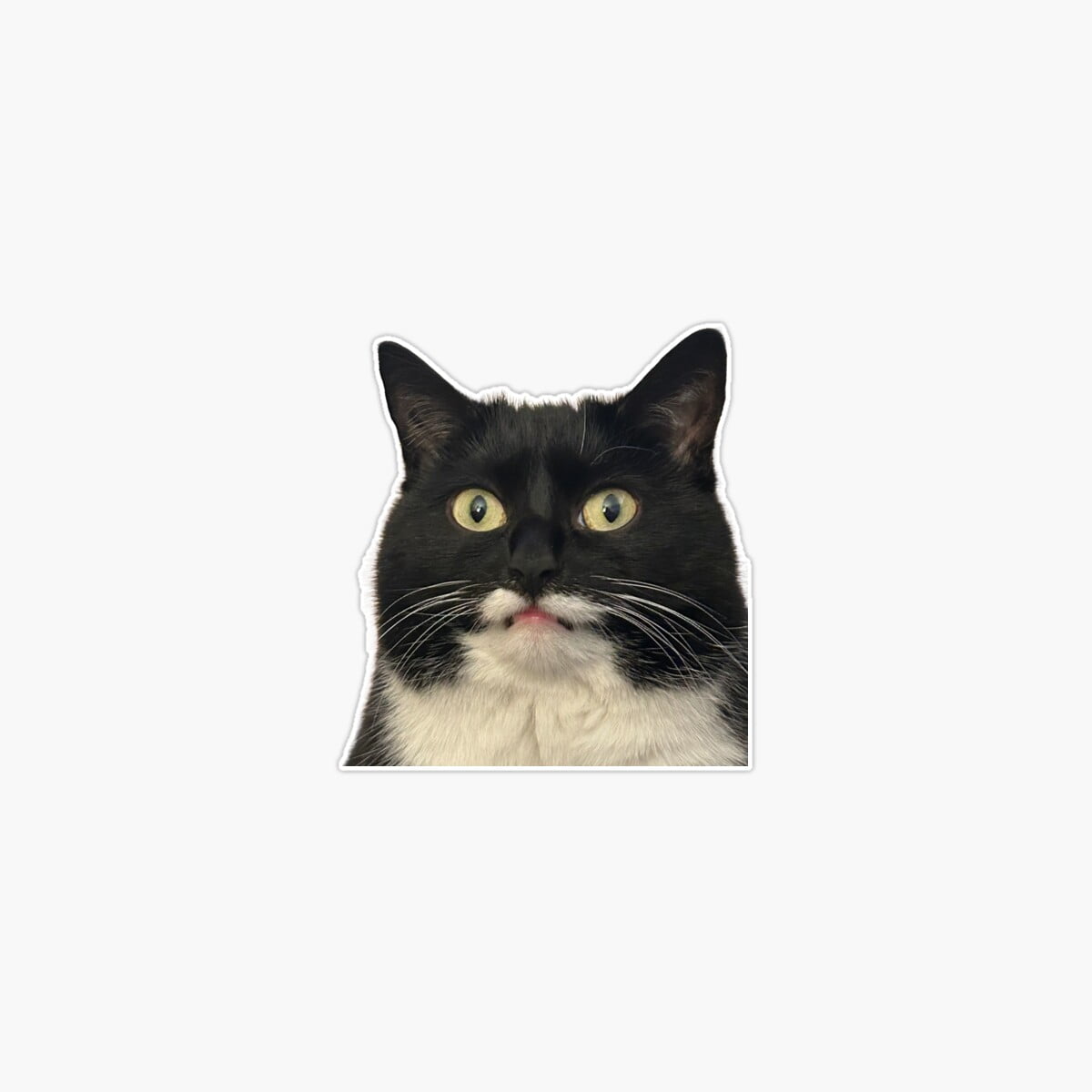 Onim Agape Jyn Sticker, Phone Decal Water Bottle Stickers Car Decals ...