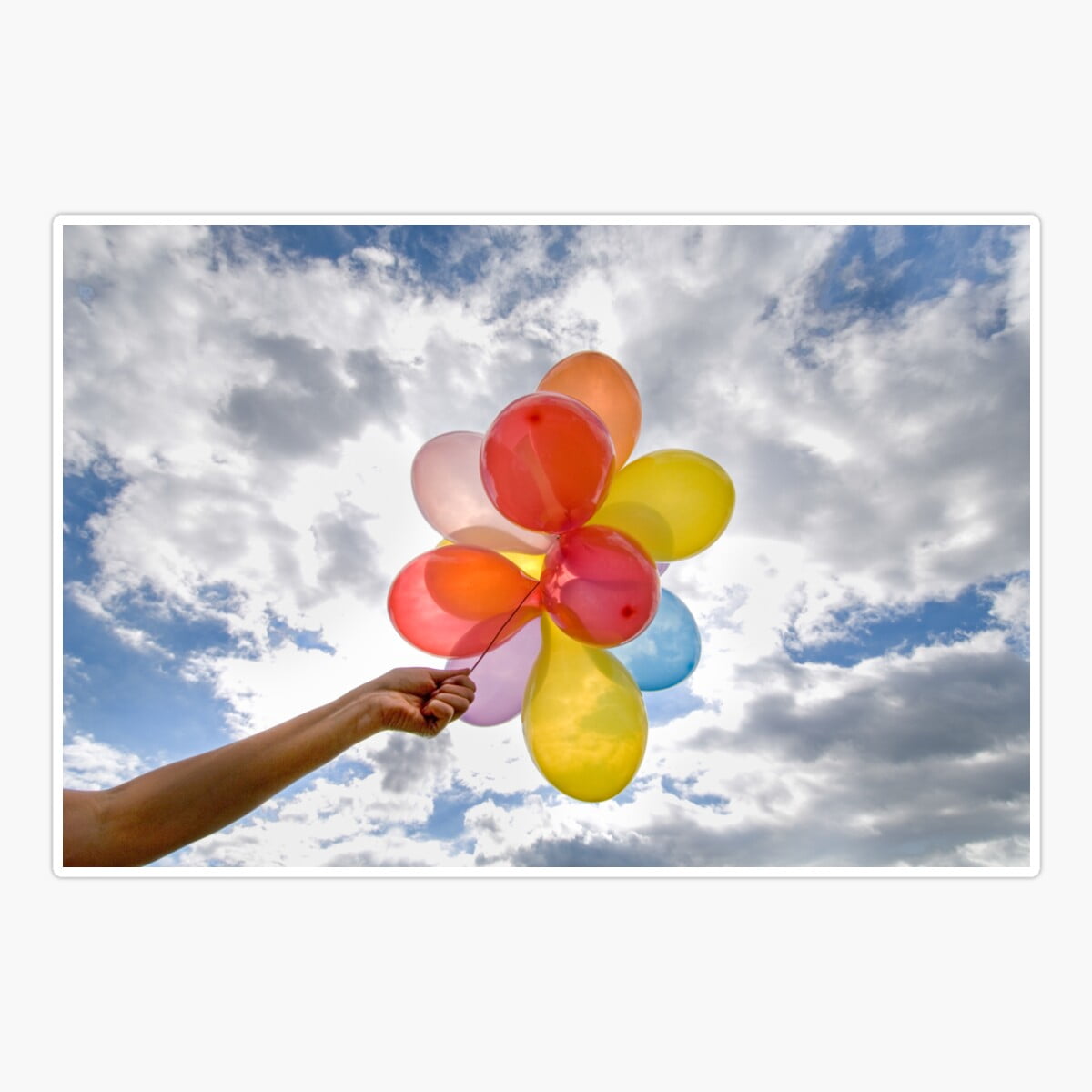 Onim Albino Ferret Sticker, Phone Decal Water Bottle Stickers Car ...