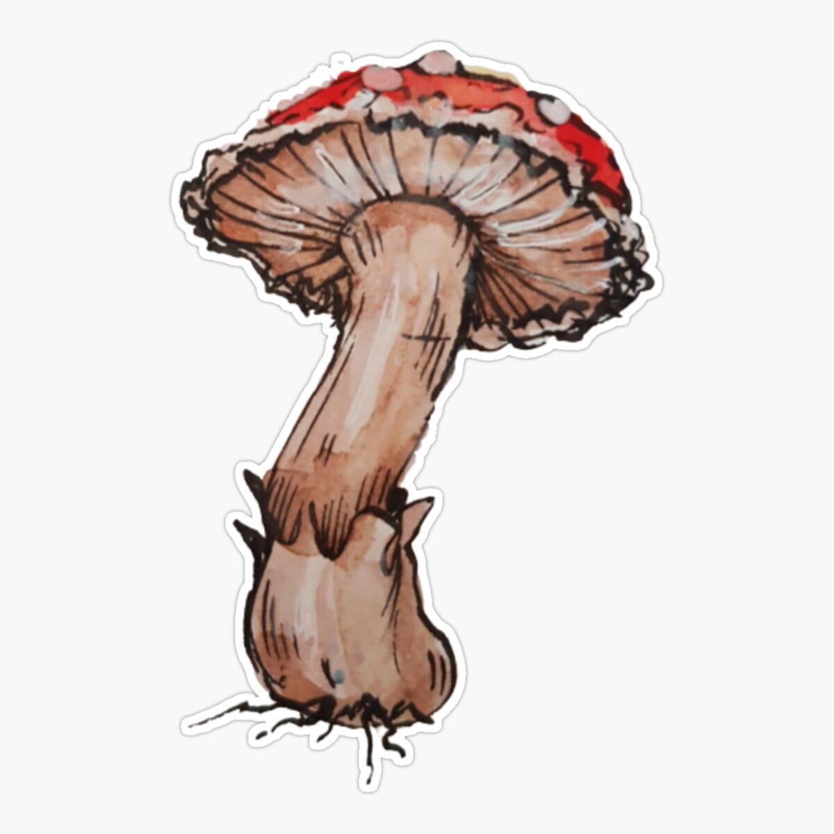 Onim Amanita Mushroom Sticker, Phone Decal Water Bottle Stickers Car ...