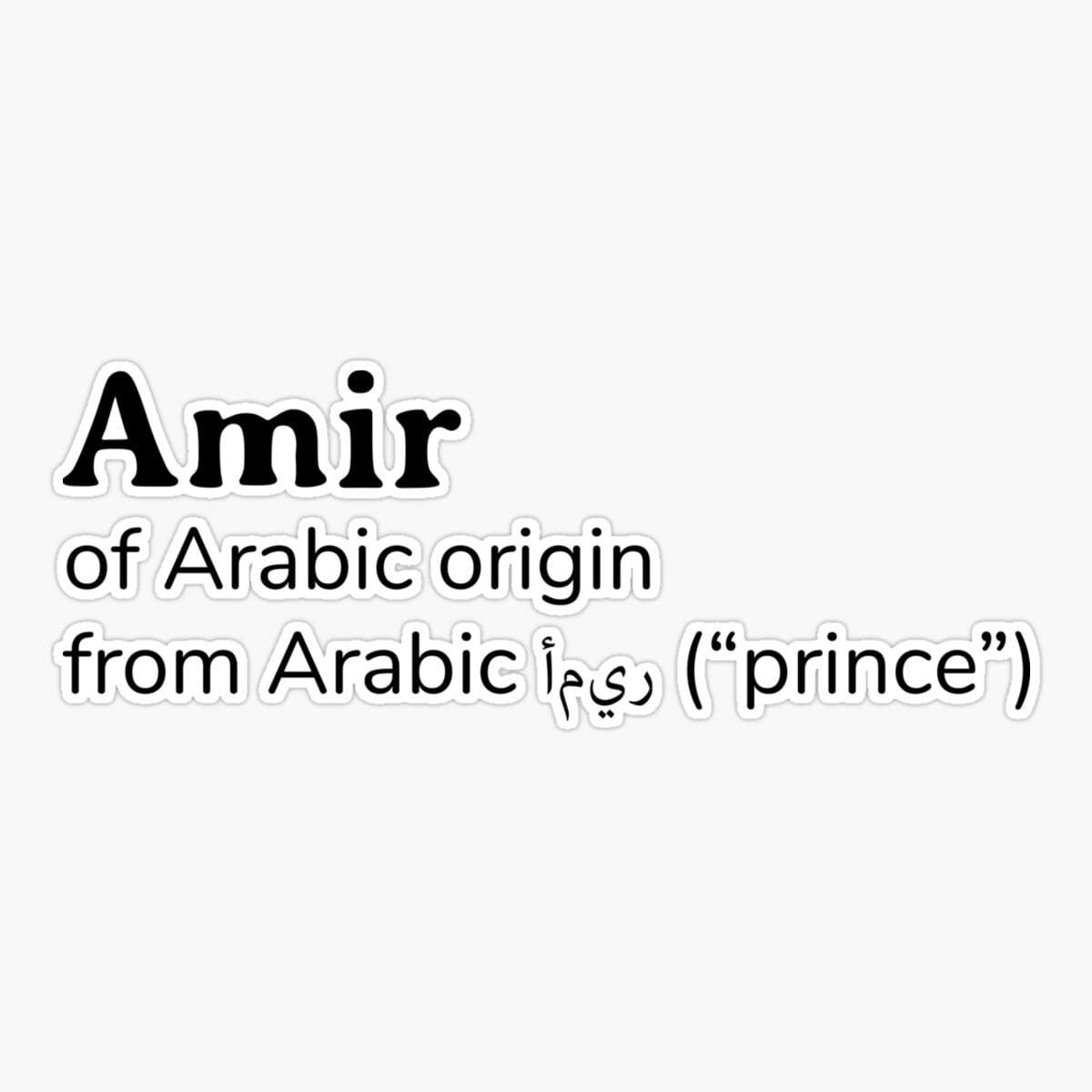 Onim Amir Name Etymology Sticker, Phone Decal Water Bottle Stickers Car ...